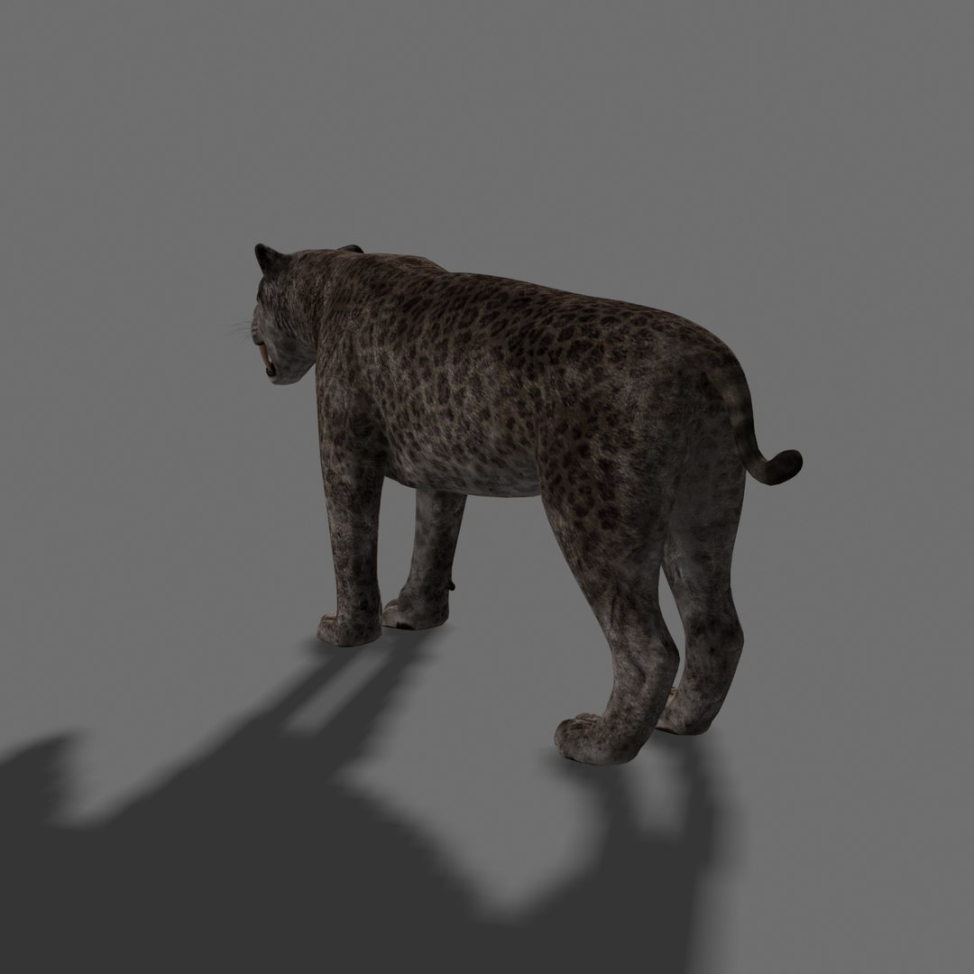 3D Model Female Sabretooth - Animation - TurboSquid 1361962