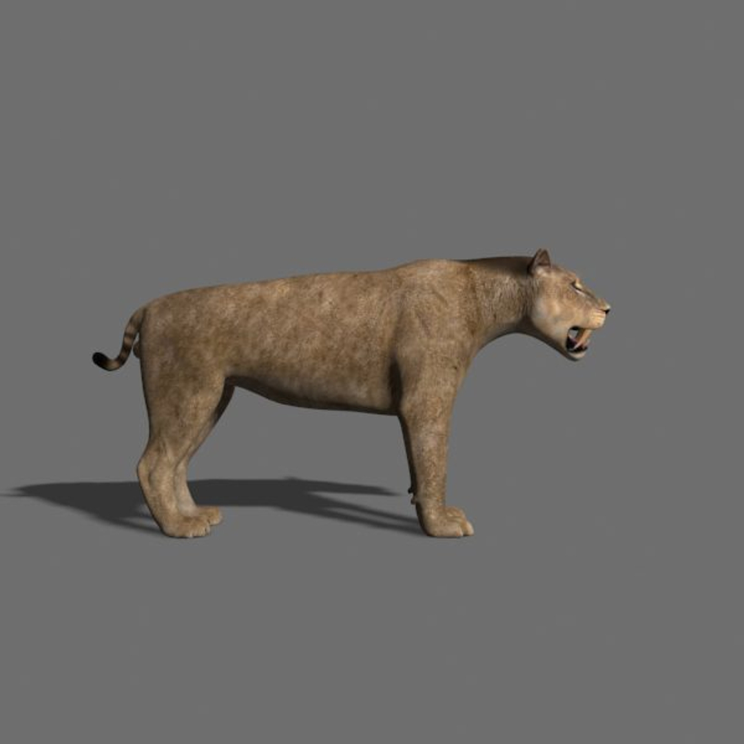 3D Model Female Sabretooth - Animation - TurboSquid 1361962