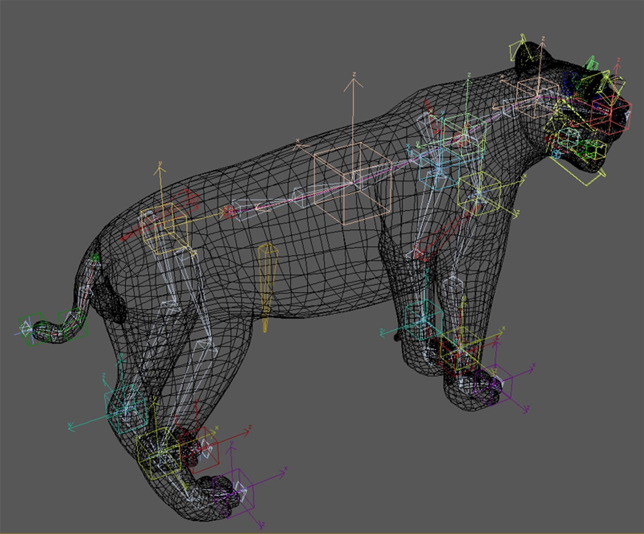3D Model Female Sabretooth - Animation - TurboSquid 1361962