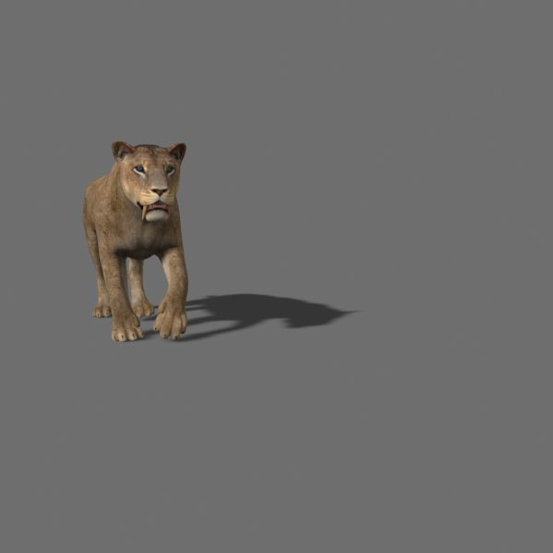 3D Model Female Sabretooth - Animation - TurboSquid 1361962