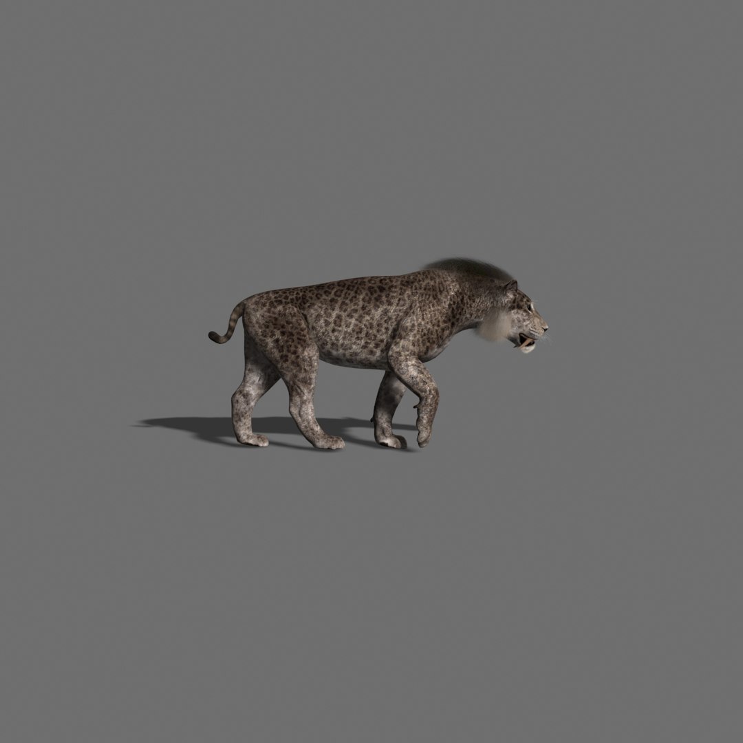 3D Model Female Sabretooth - Animation - TurboSquid 1361962
