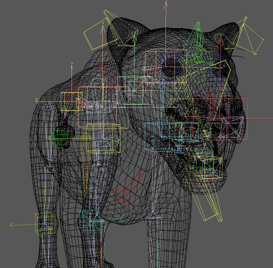 3D model female sabretooth - animation - TurboSquid 1361962