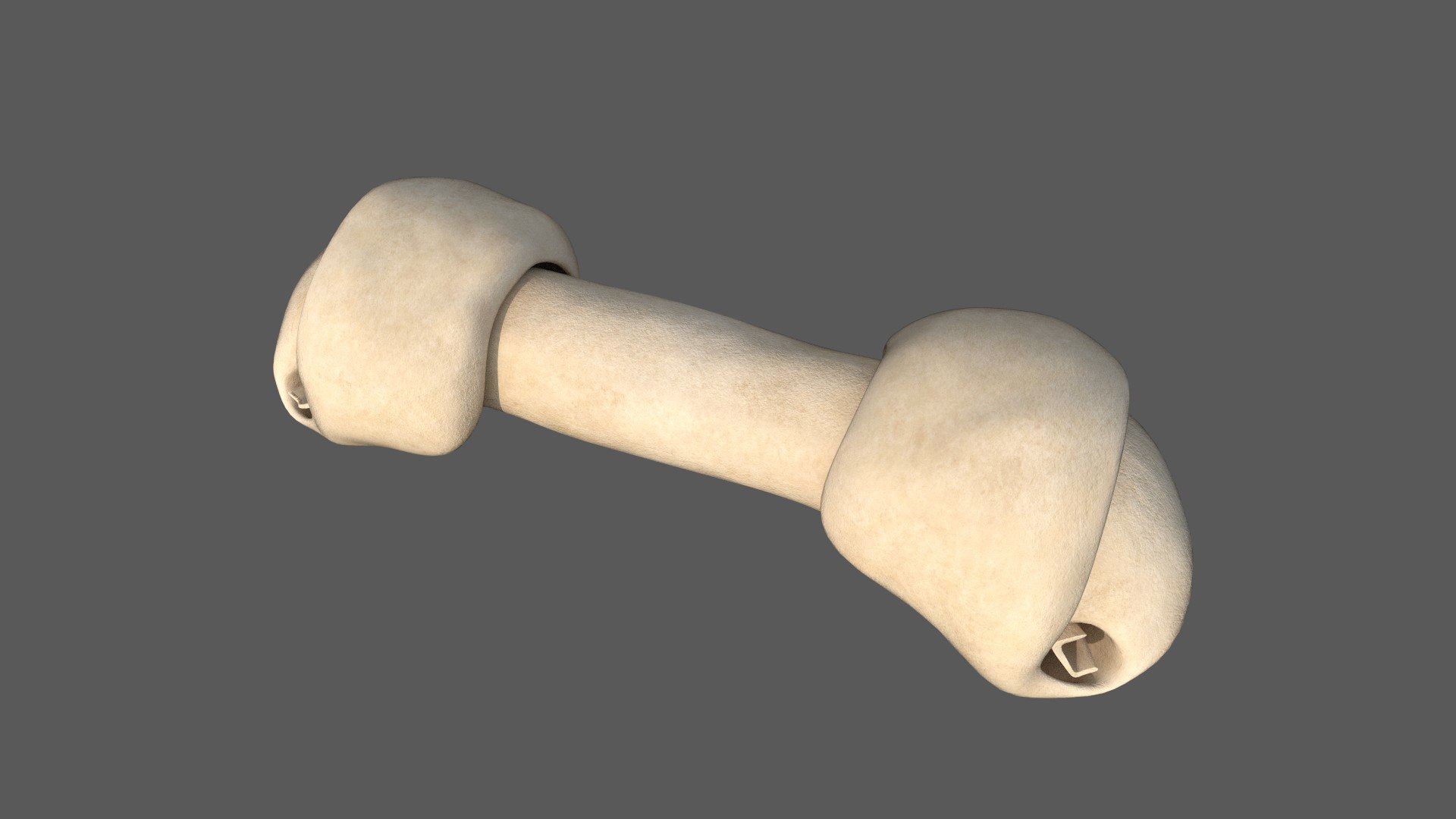 3D model DOG BONE - TurboSquid 2175032
