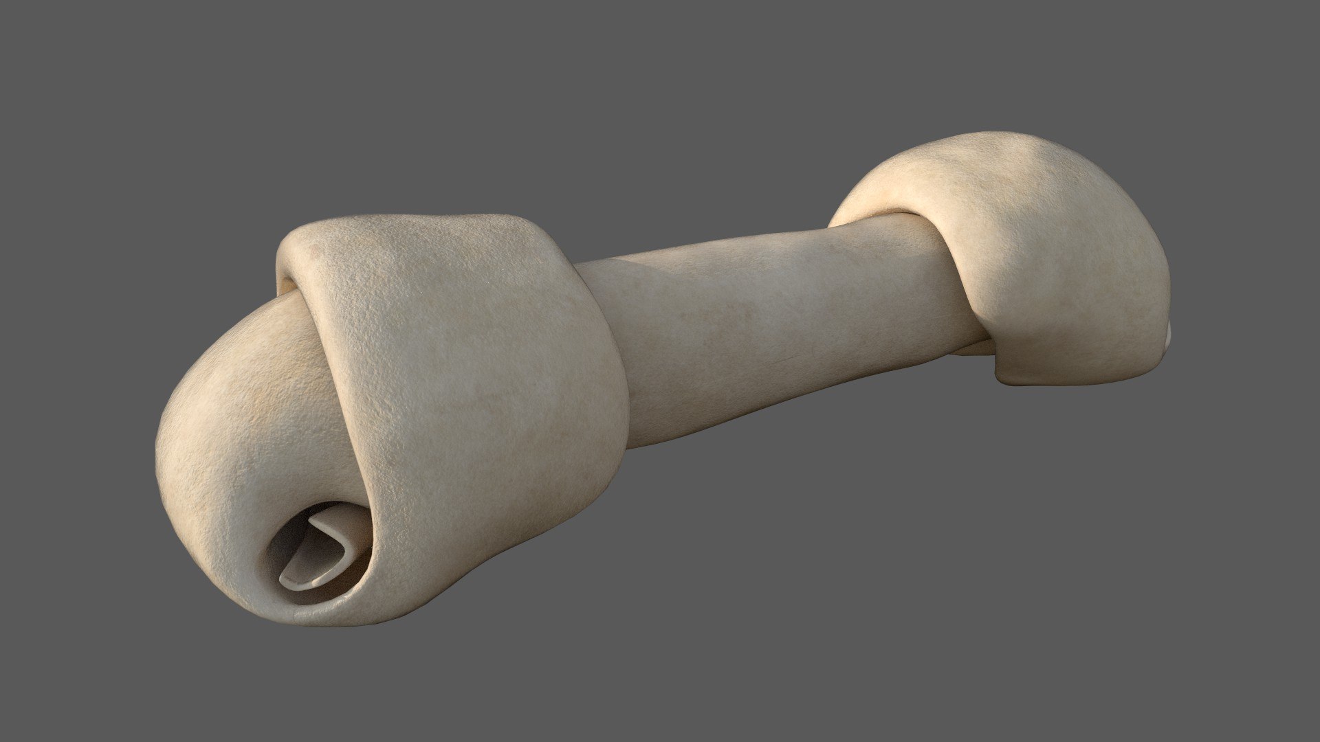 3D model DOG BONE - TurboSquid 2175032