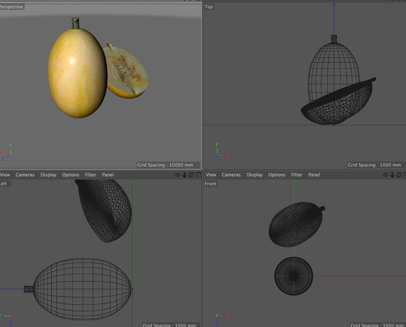 3D squash model - TurboSquid 1544605