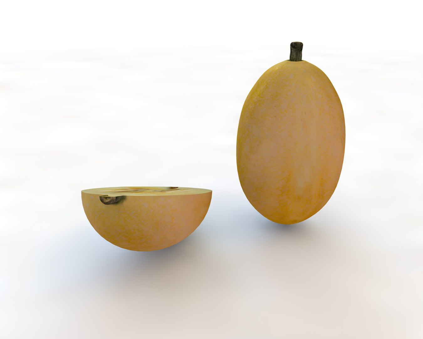 3D squash model - TurboSquid 1544605