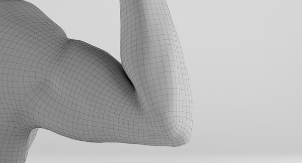Arm muscles 3D - TurboSquid 1173143