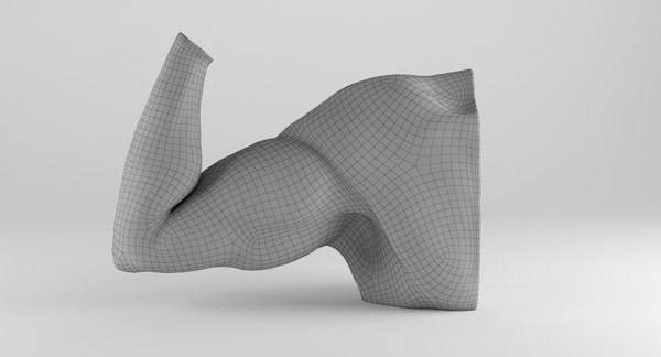 Arm muscles 3D - TurboSquid 1173143