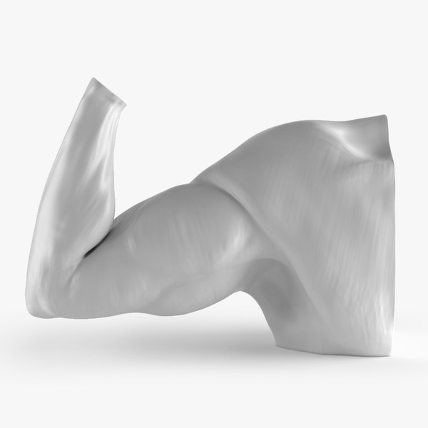 Arm muscles 3D - TurboSquid 1173143