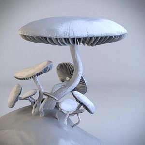 Fungus 3D Models for Download | TurboSquid