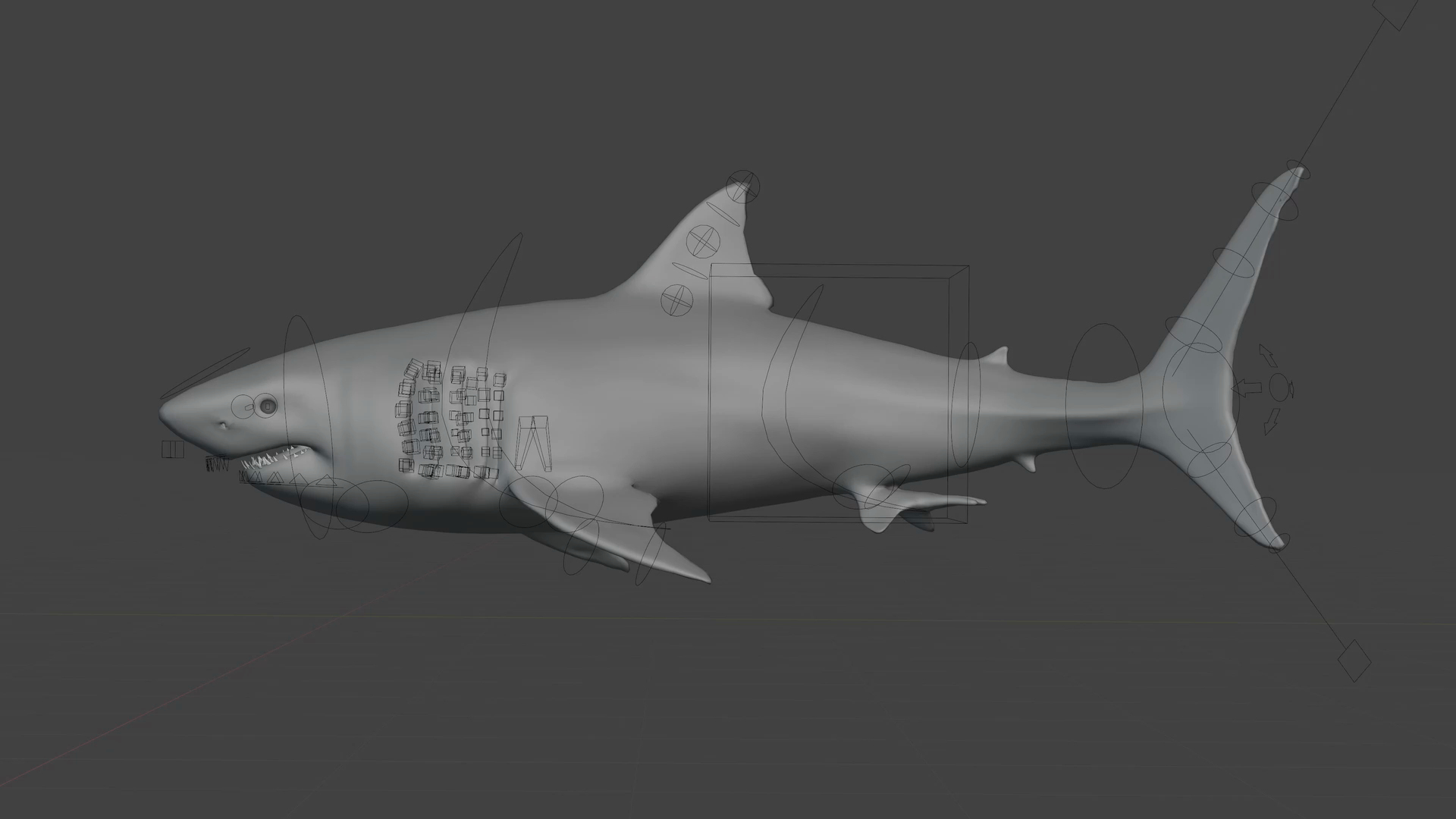 3D Great White Shark Model - TurboSquid 2173610
