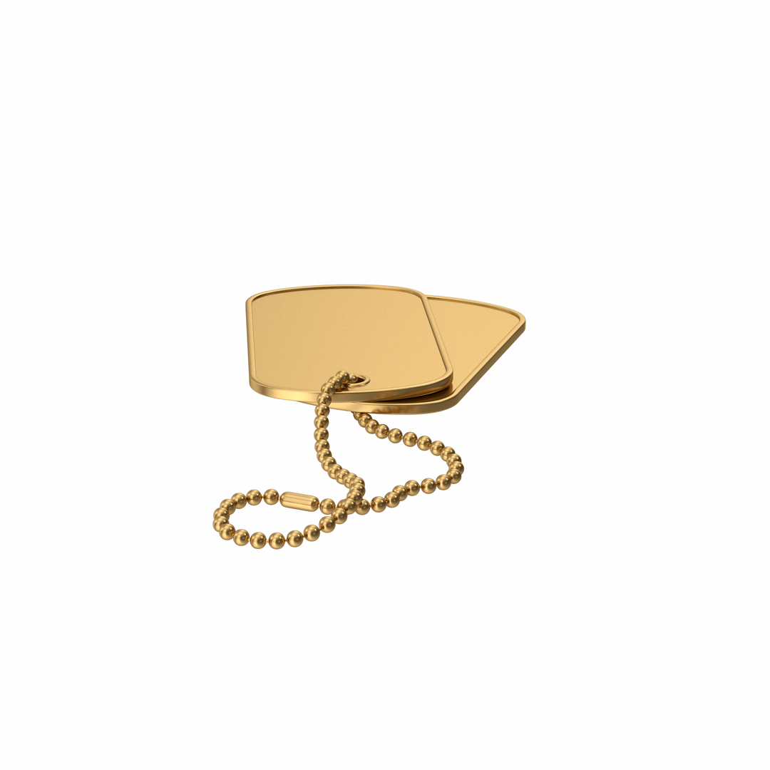 3D Model Gold Dog Tags With Chain - TurboSquid 2229239