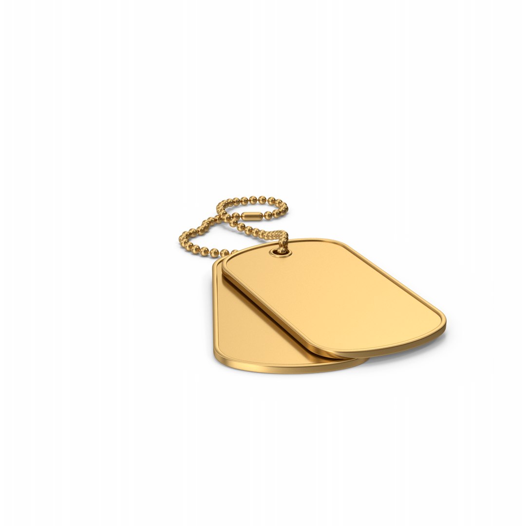 3D Model Gold Dog Tags With Chain - TurboSquid 2229239