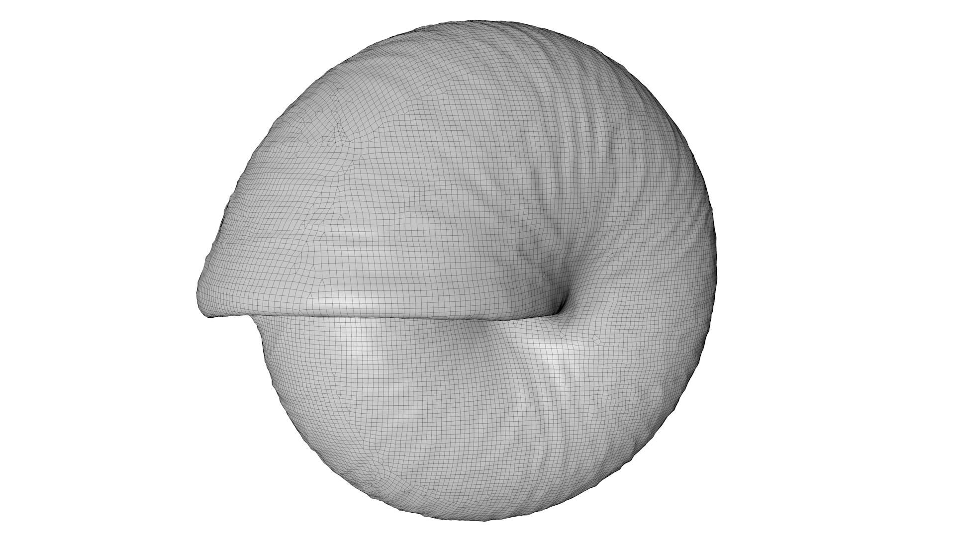 Snail Shell 3d Model
