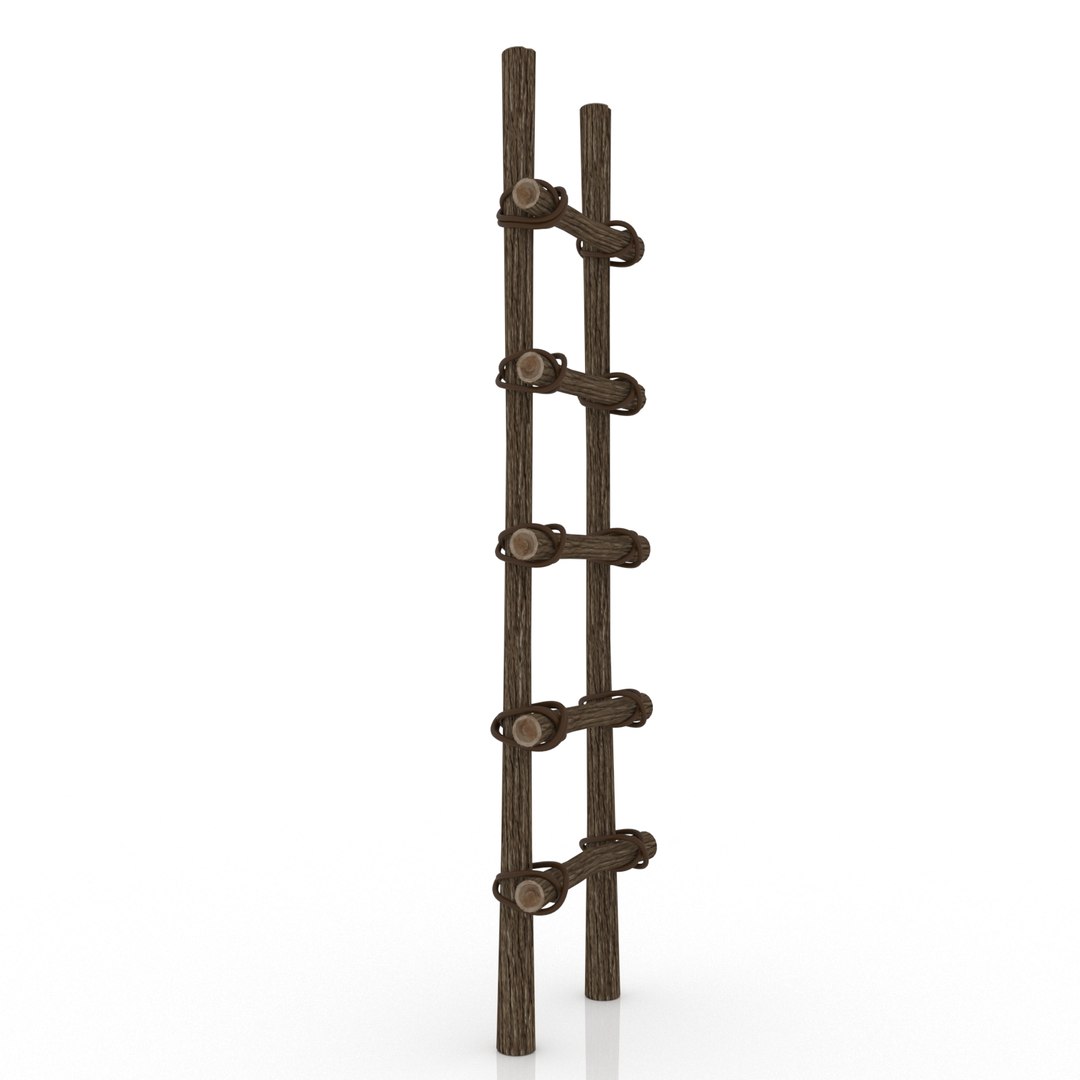 3D Model Cartoon Wood Ladder - TurboSquid 1499154