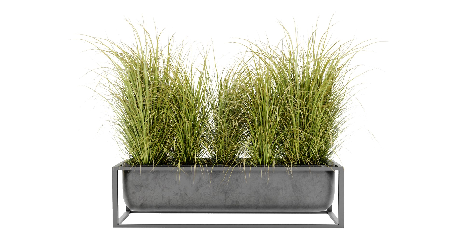 3D Collection Plant Vol 478 - Blender Model - TurboSquid 2099264