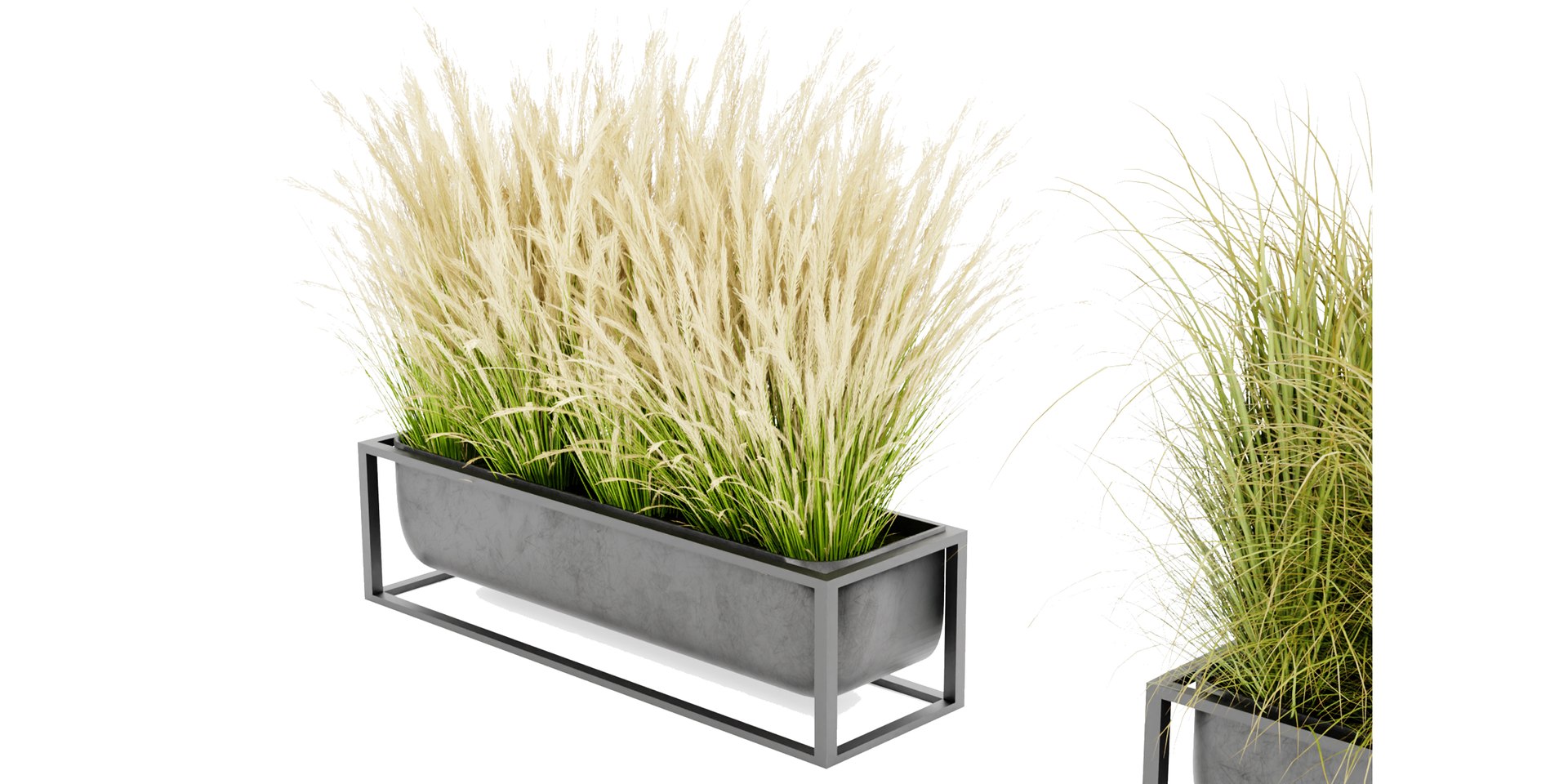 3D Collection Plant Vol 478 - Blender Model - TurboSquid 2099264