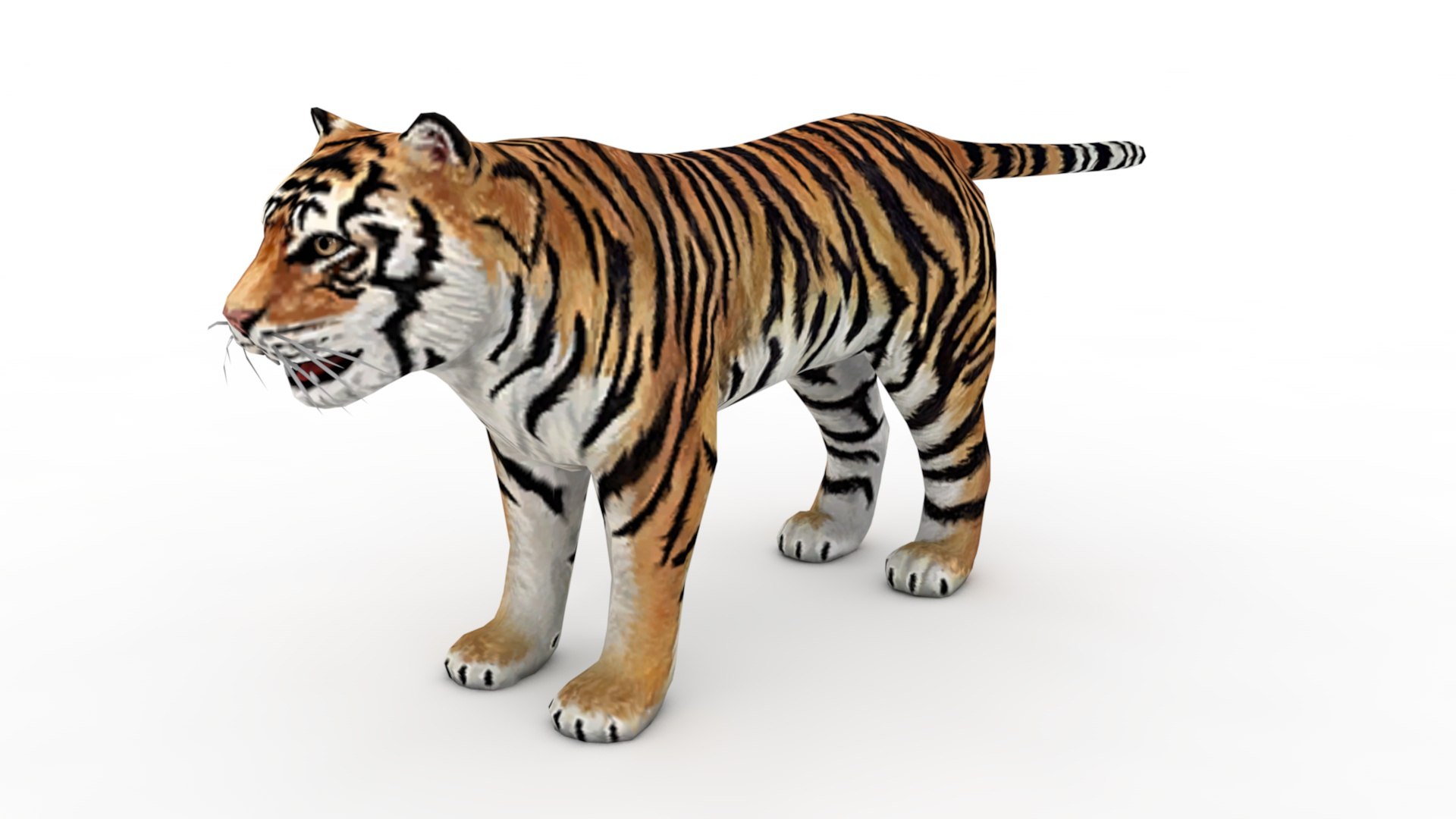 3D Tiger - TurboSquid 1851989