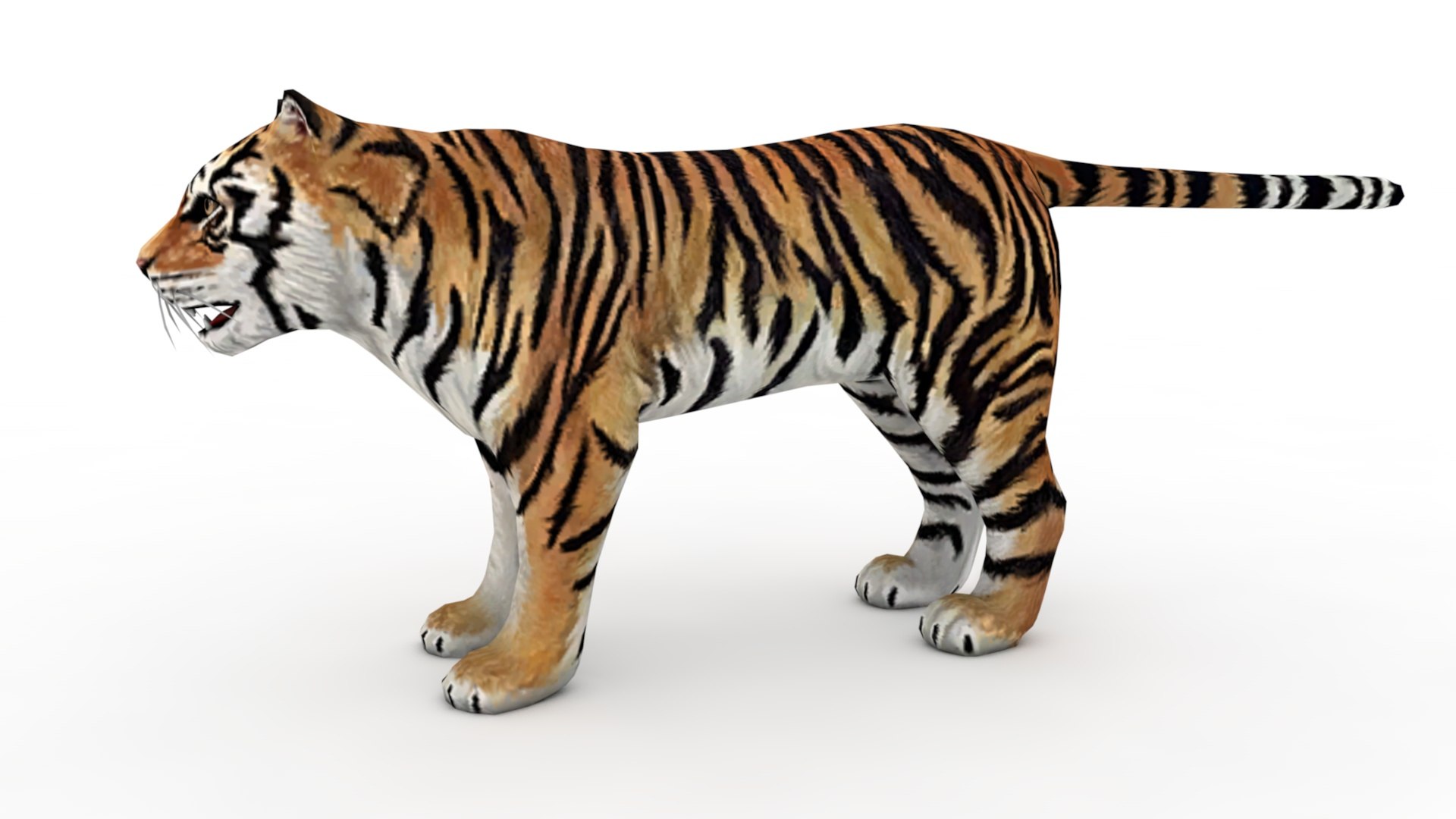 3D Tiger - TurboSquid 1851989