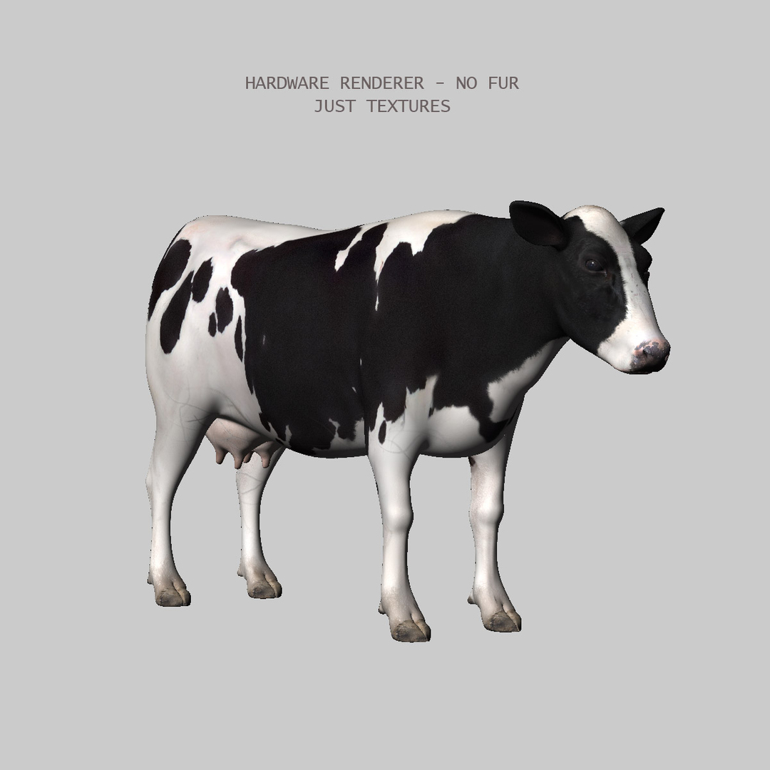 3ds max cow holstein cattle