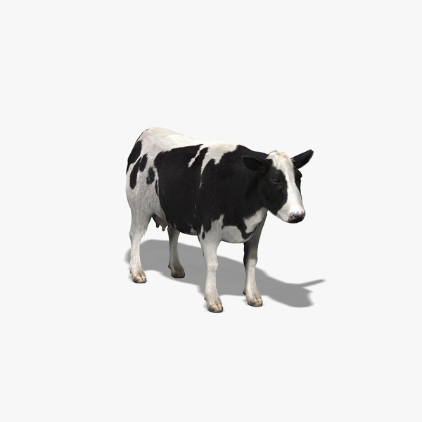 3ds max cow holstein cattle