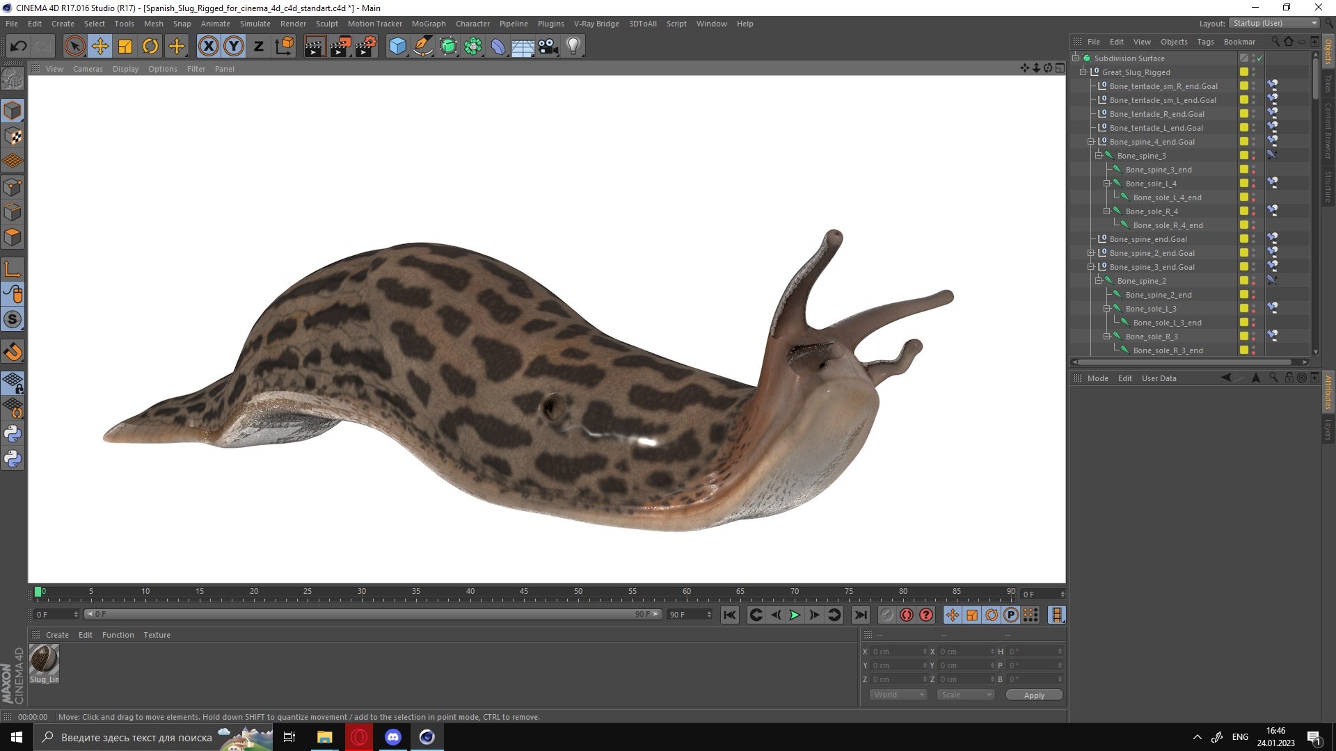 3D Great Slug Rigged For Cinema 4D Model - TurboSquid 2018622