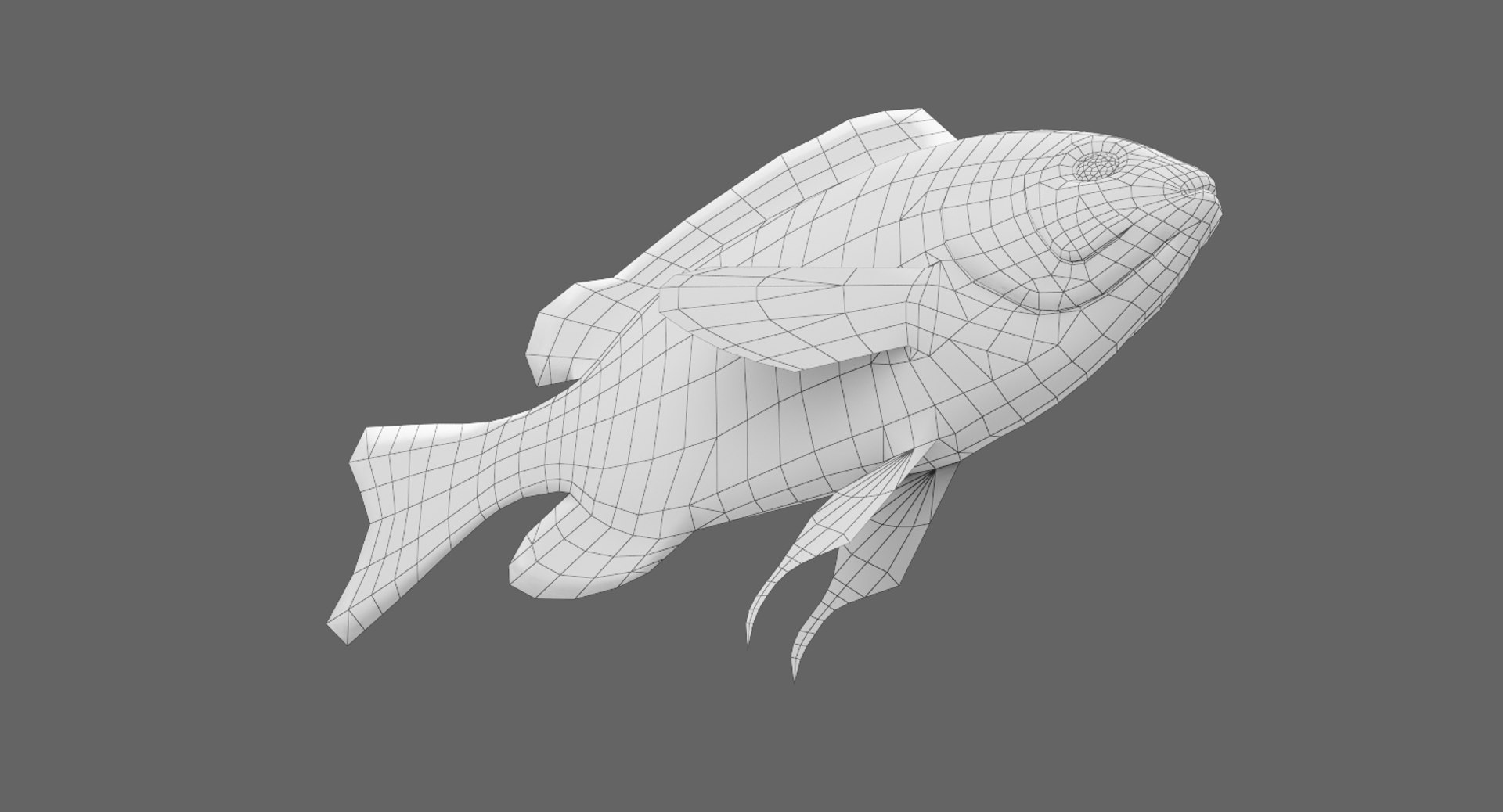 Fish Damselfish 3D Model - TurboSquid 1274231