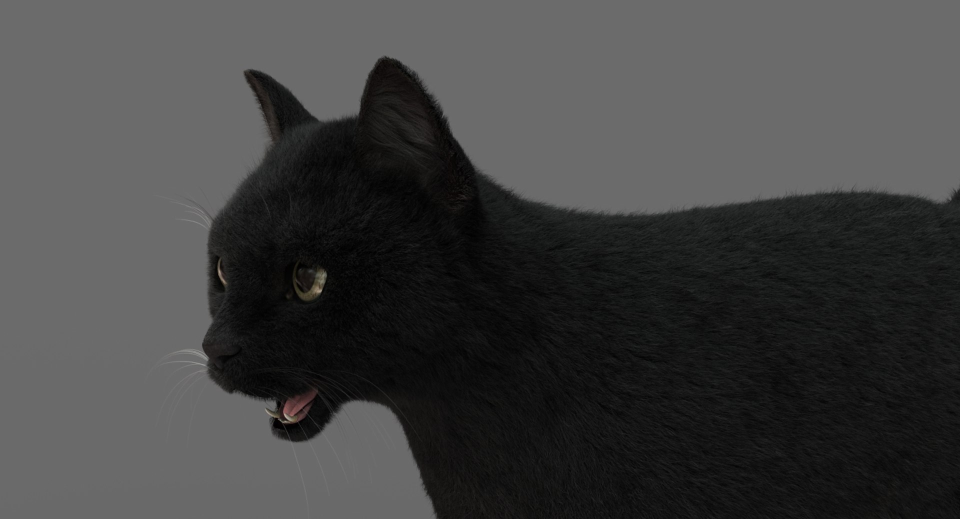 Cat animation 3D model - TurboSquid 1327658