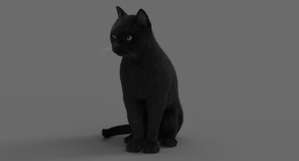 Cat animation 3D model - TurboSquid 1327658