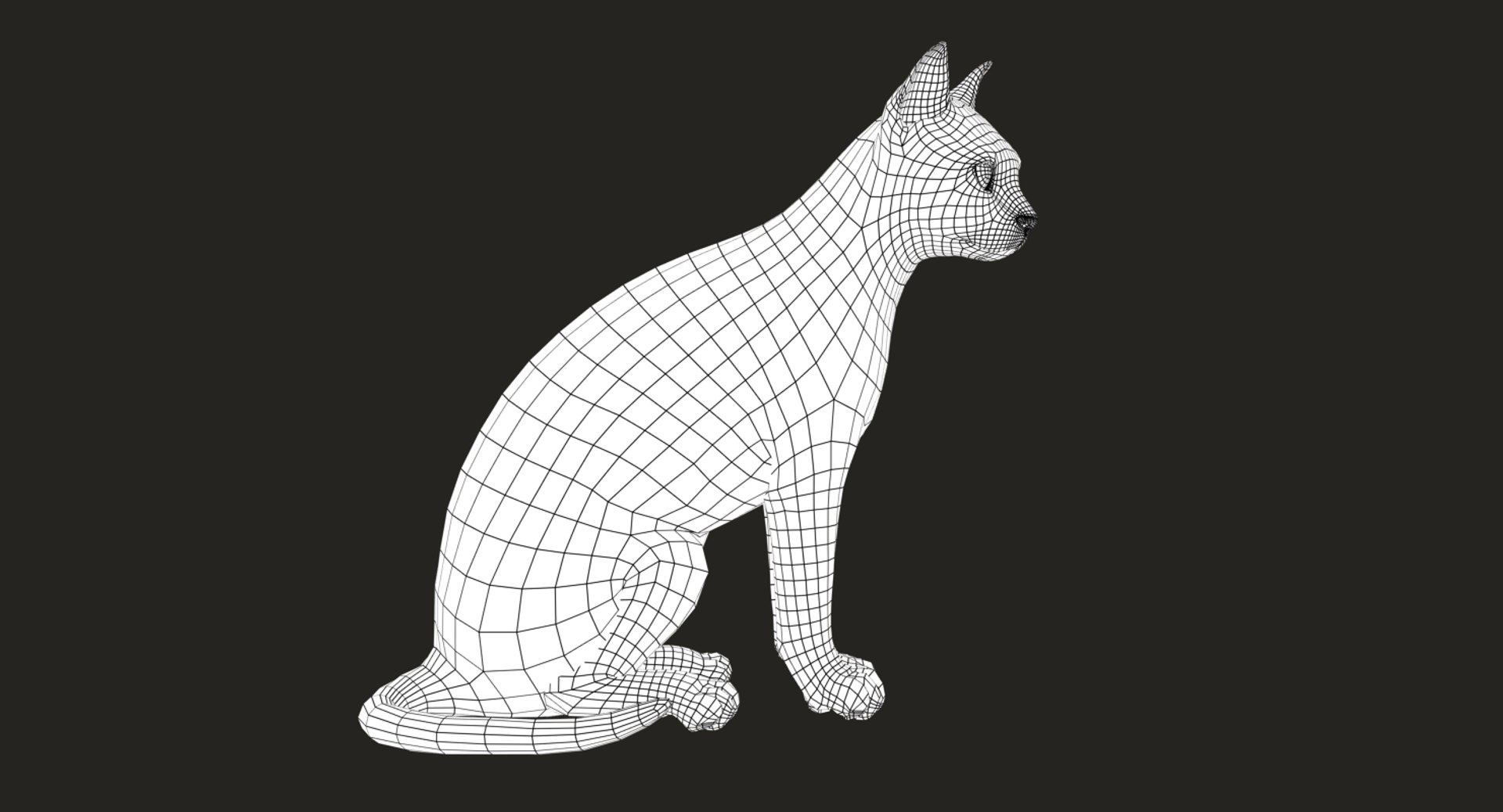 Cat animation 3D model - TurboSquid 1327658