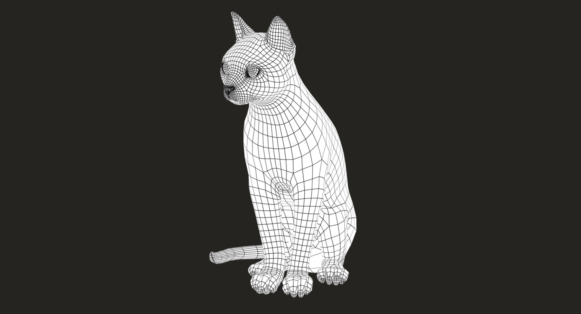 Cat animation 3D model - TurboSquid 1327658