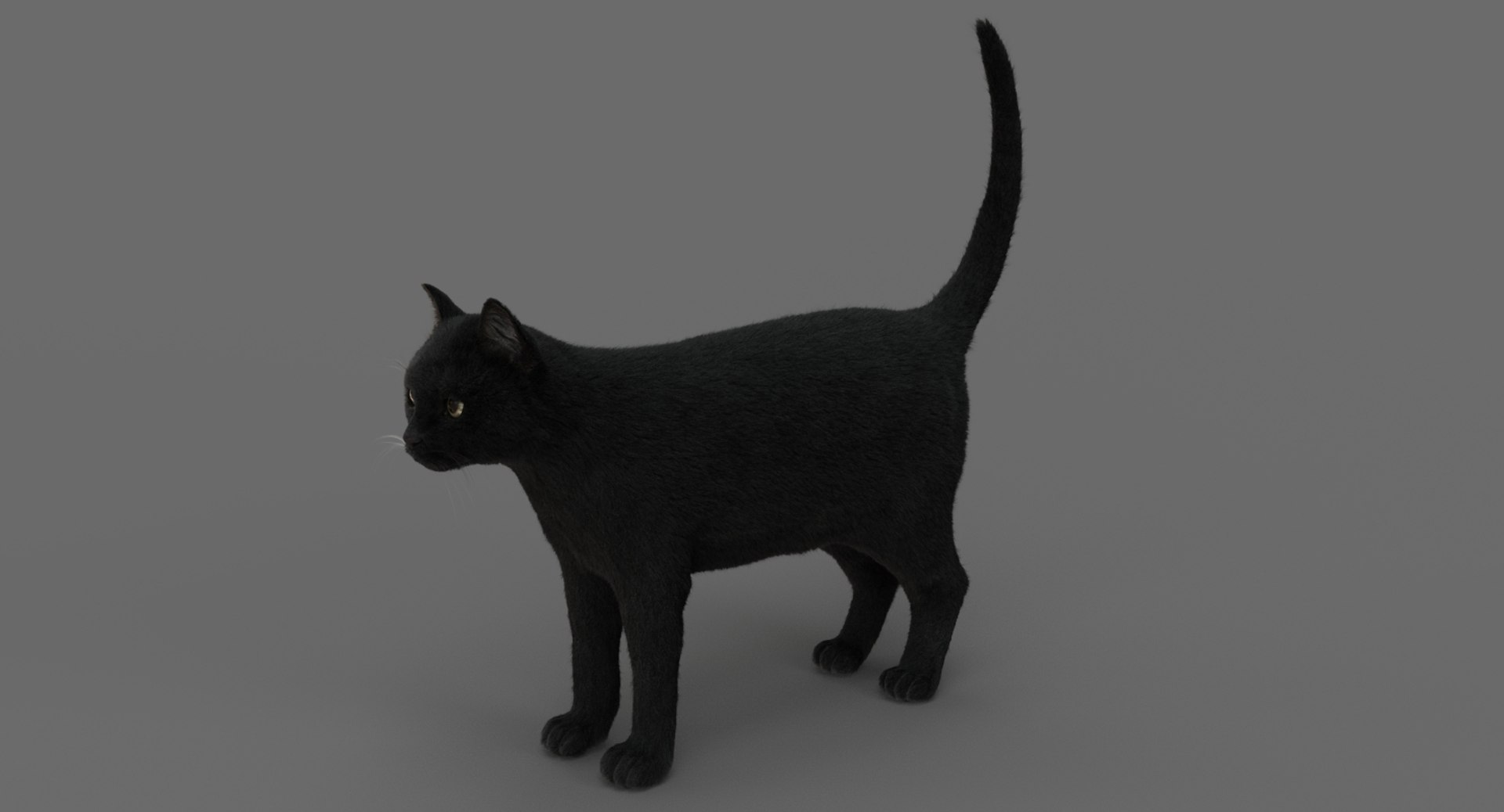 Cat animation 3D model - TurboSquid 1327658