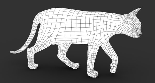 Cat animation 3D model - TurboSquid 1327658