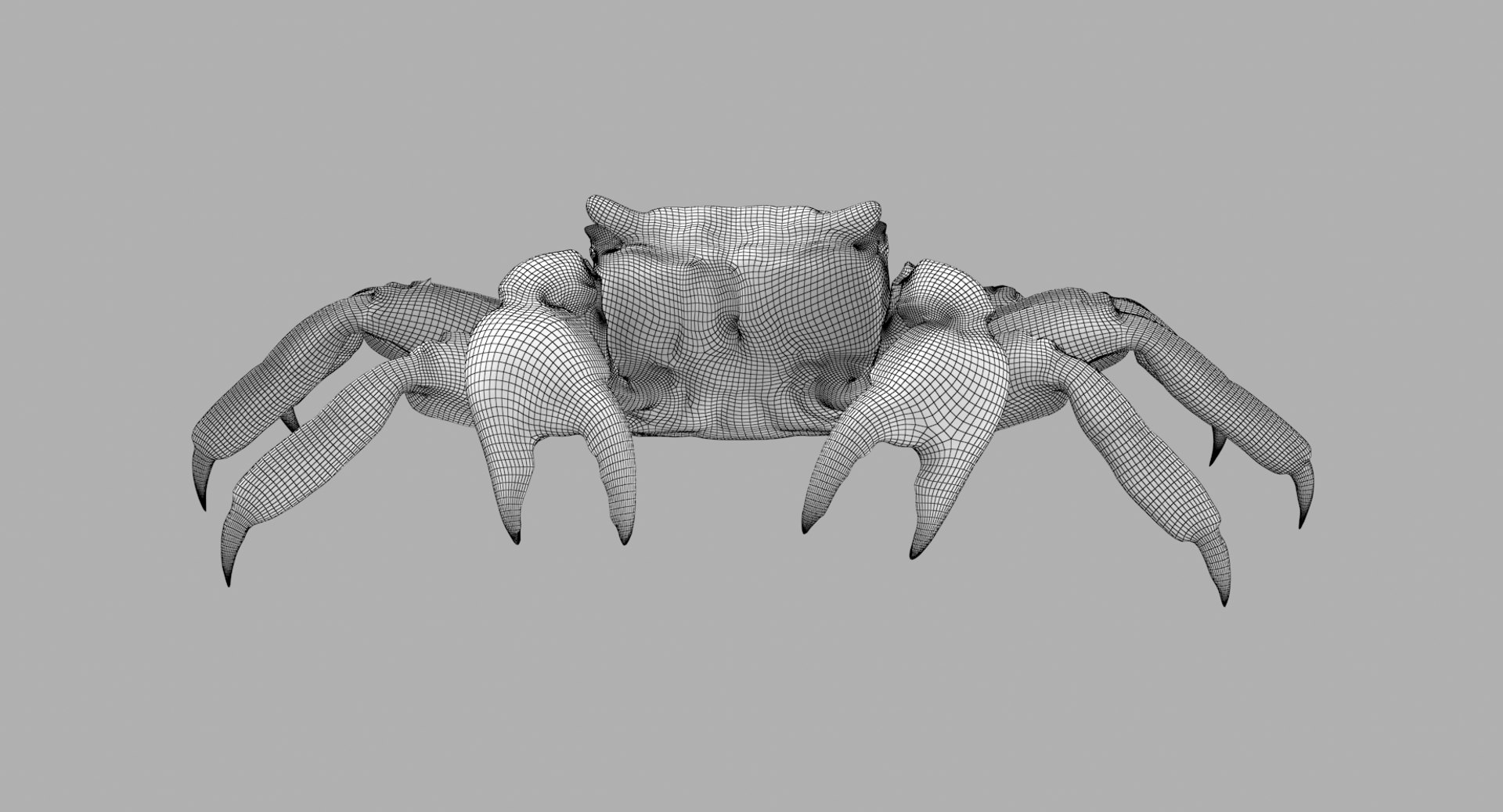 Shore Crab 3D Model - TurboSquid 1189613