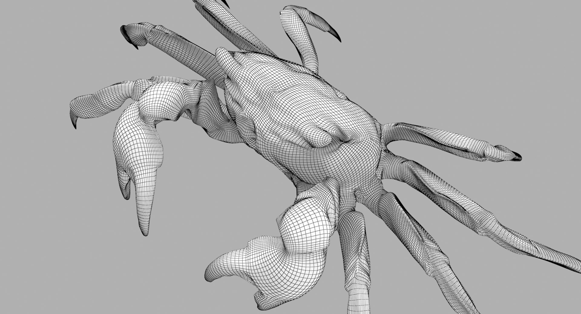 Shore Crab 3D Model - TurboSquid 1189613