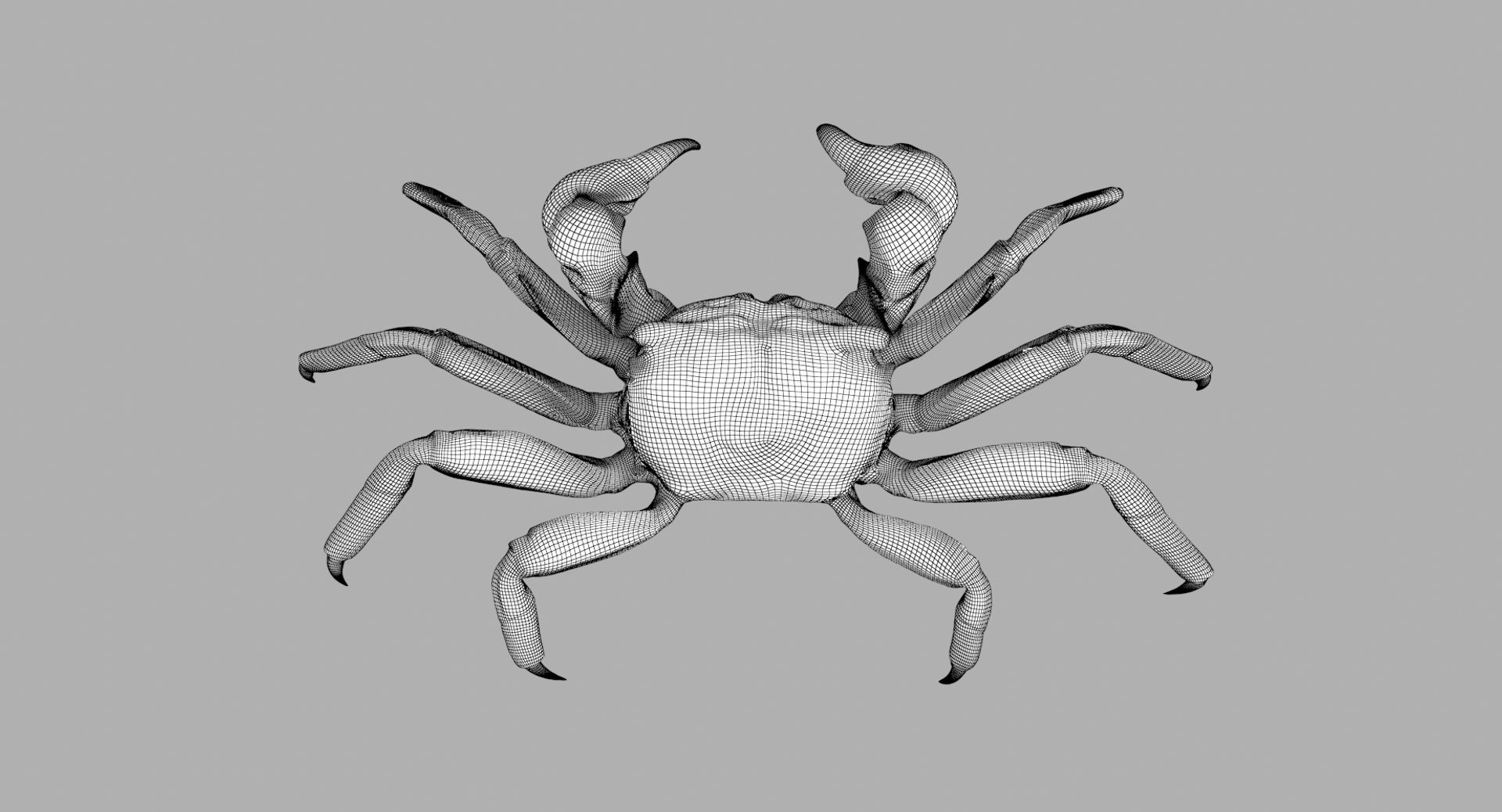 Shore Crab 3D Model - TurboSquid 1189613
