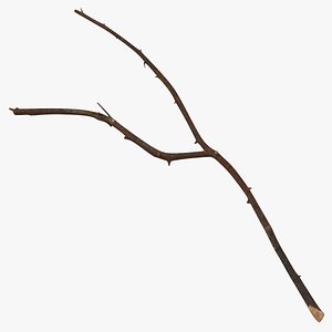 Free 3D Branch Models | TurboSquid