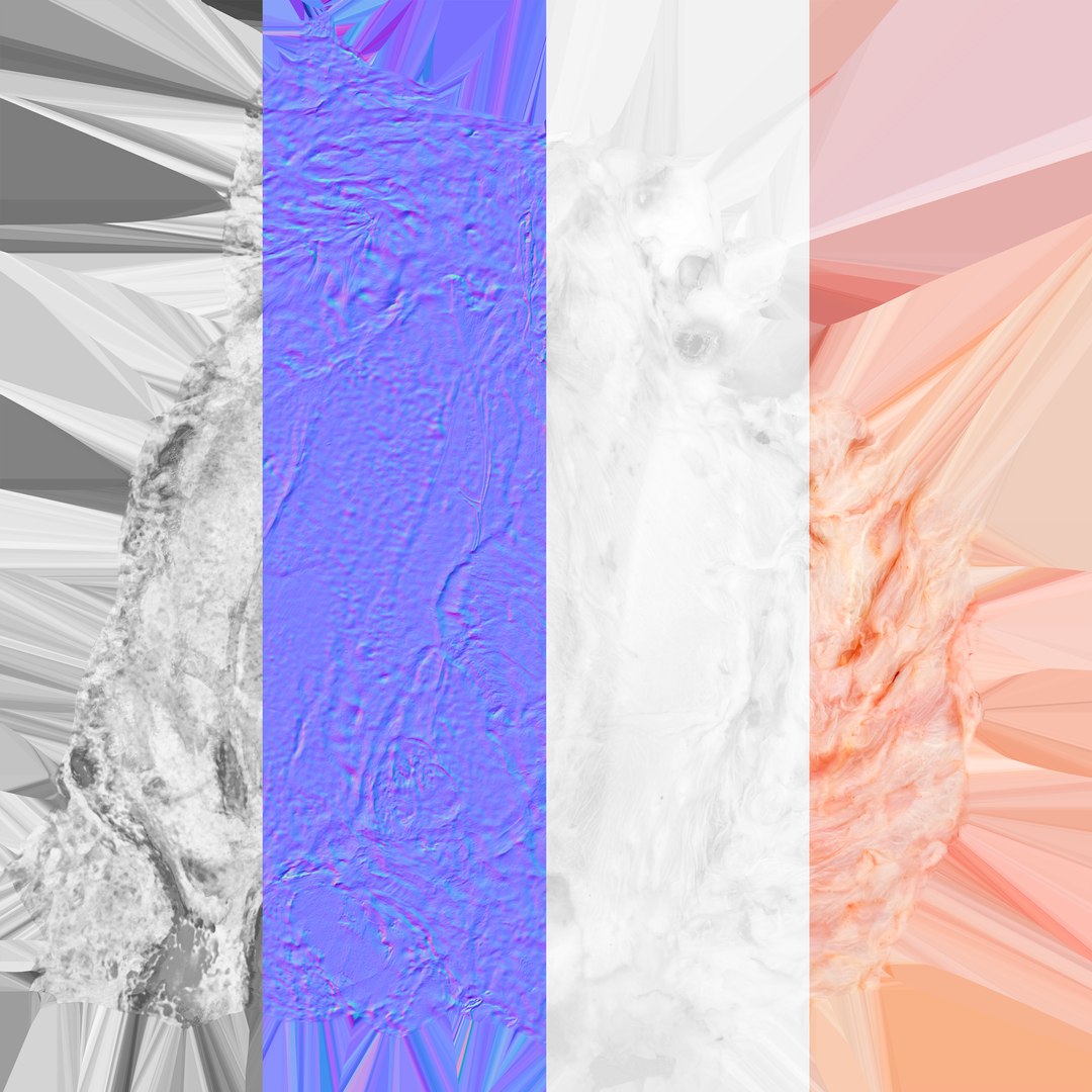 3D Model Chicken Wing 05 - TurboSquid 1905760