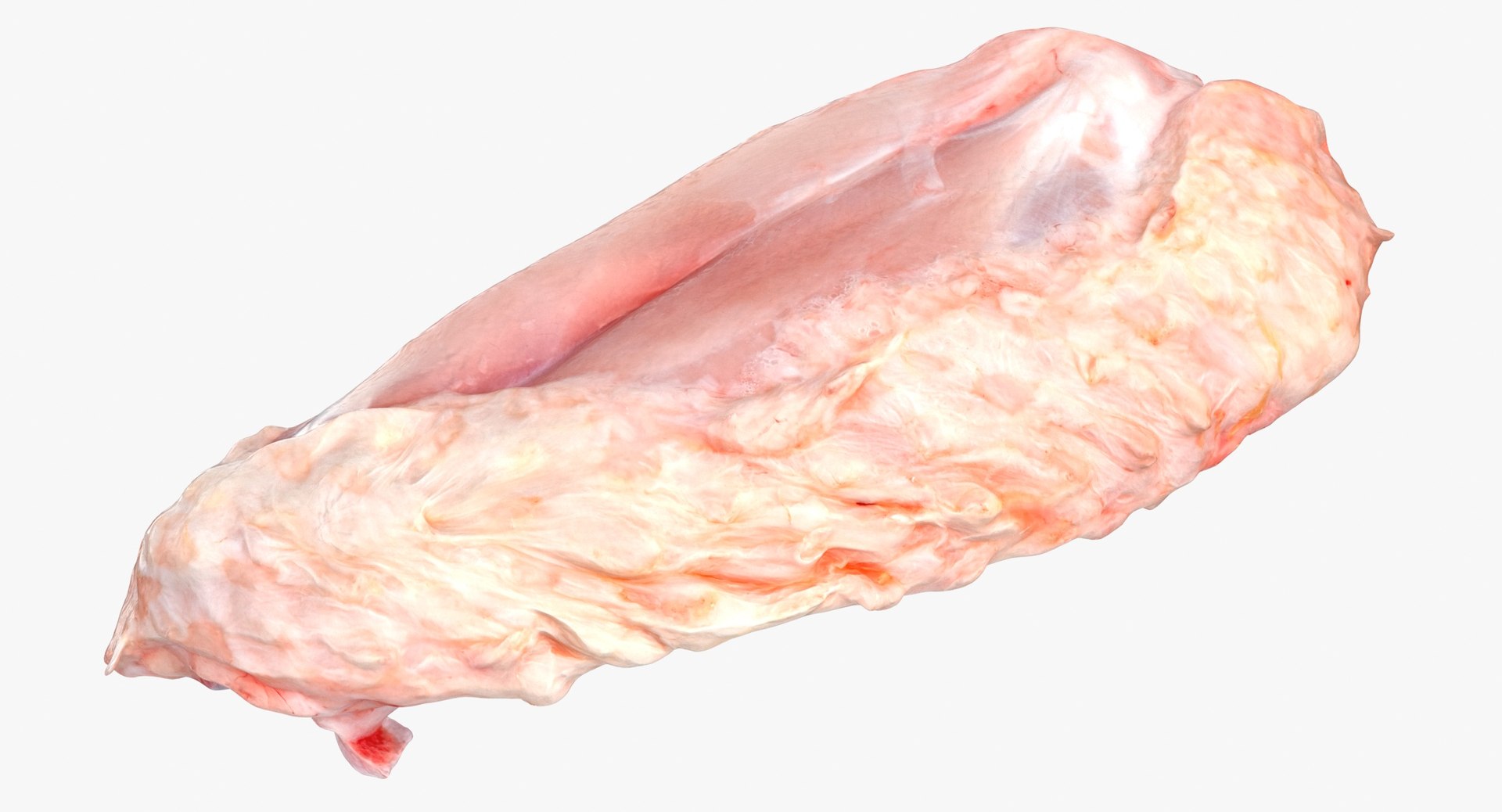 3D Model Chicken Wing 05 - TurboSquid 1905760