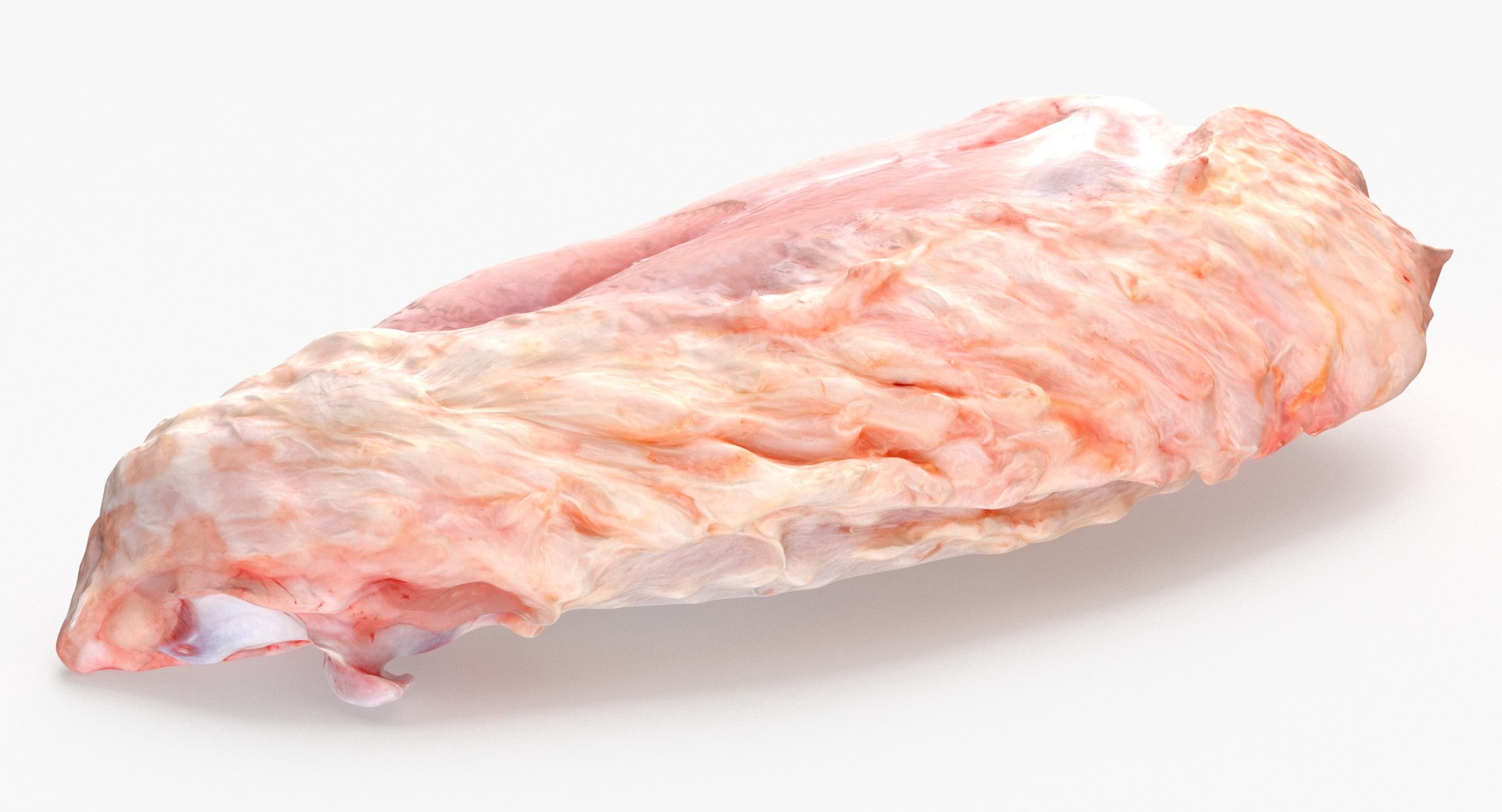 3D Model Chicken Wing 05 - TurboSquid 1905760