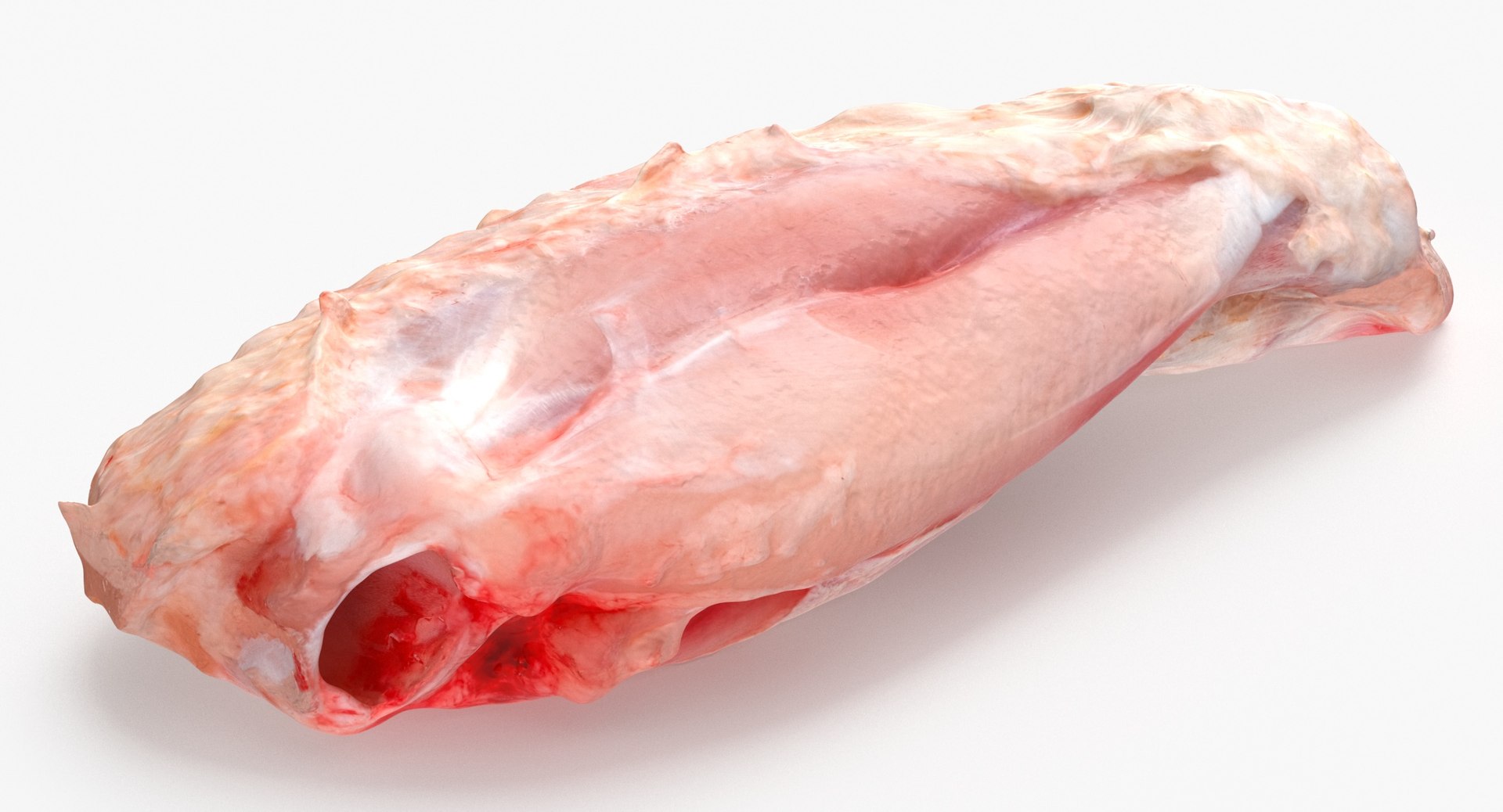 3D Model Chicken Wing 05 - TurboSquid 1905760