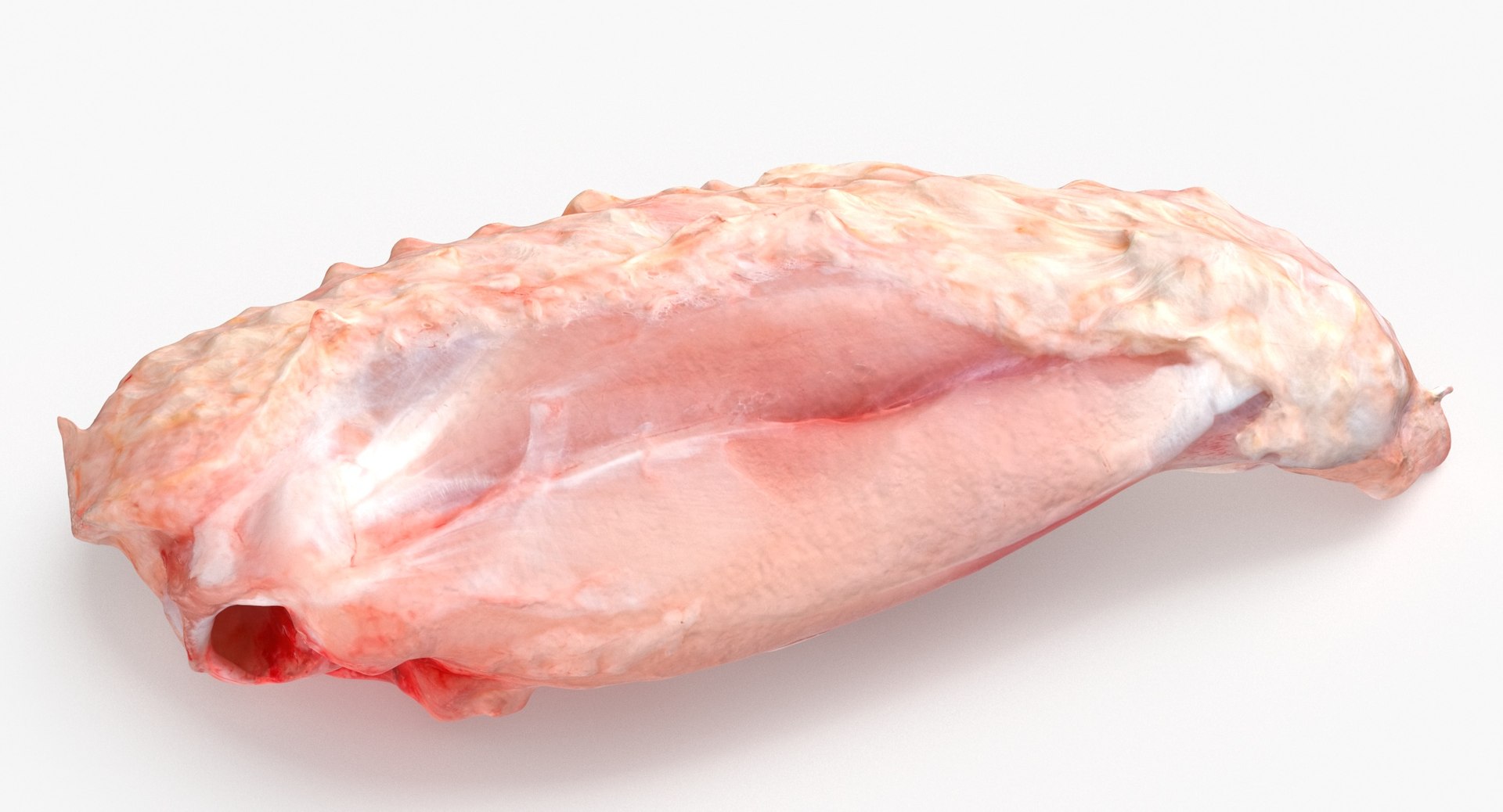 3D Model Chicken Wing 05 - TurboSquid 1905760