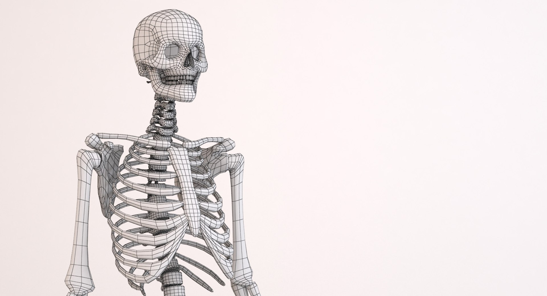 Human Skeleton Medical 3D Model - TurboSquid 1419268