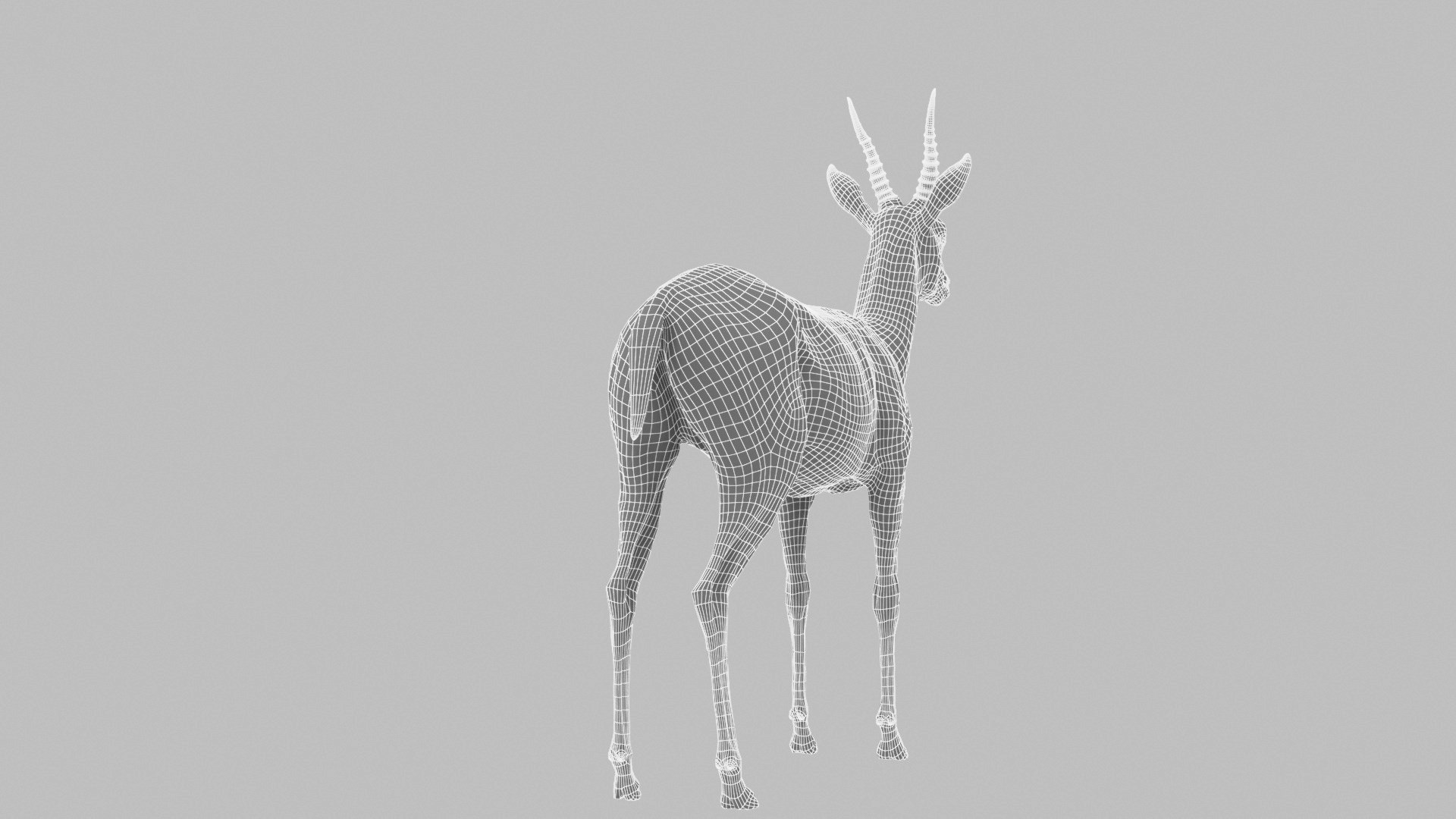 Gazelle Mammal Wildlife 3D Model - TurboSquid 1661287