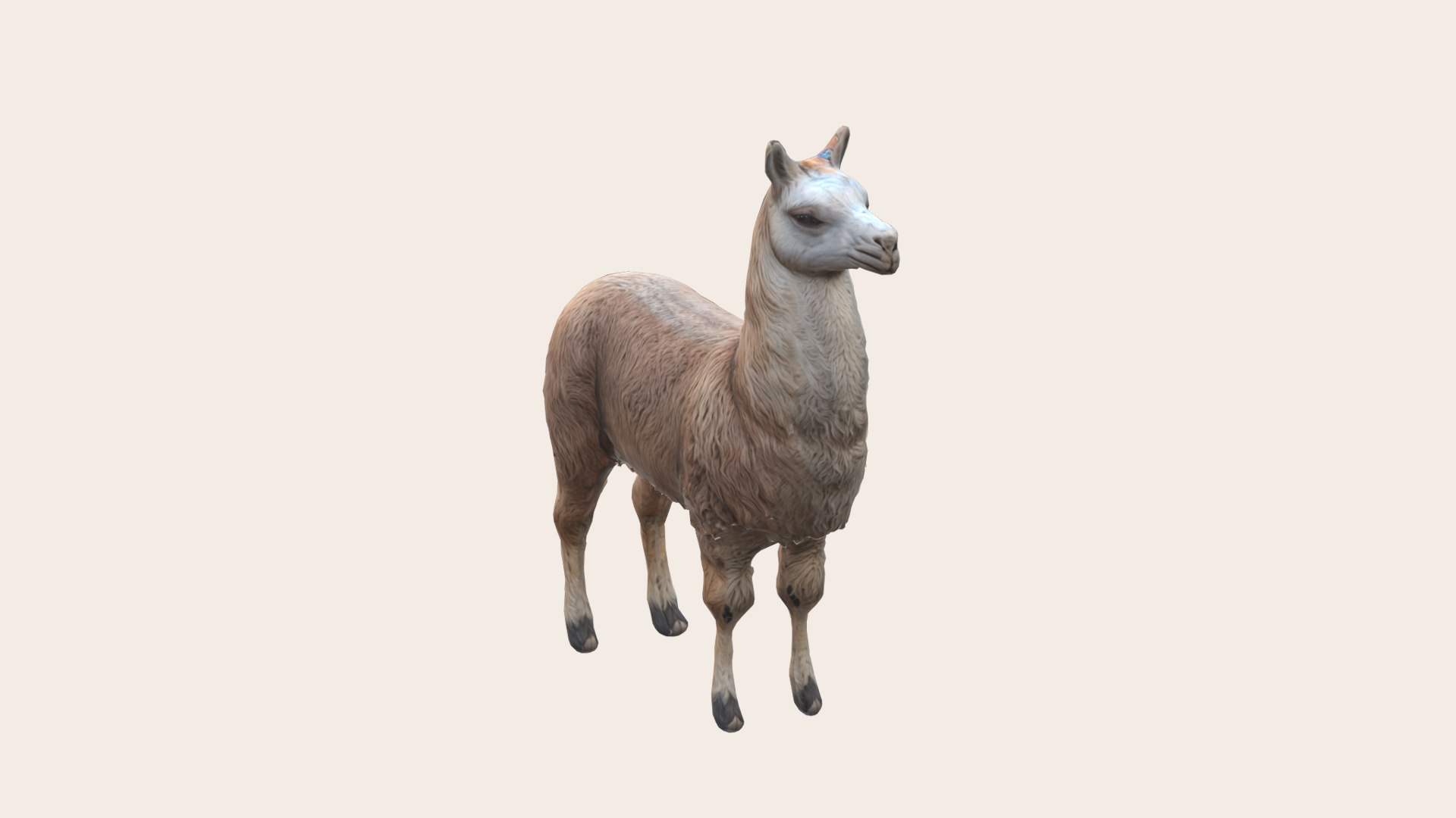 Llama 3D Model - TurboSquid 2268425