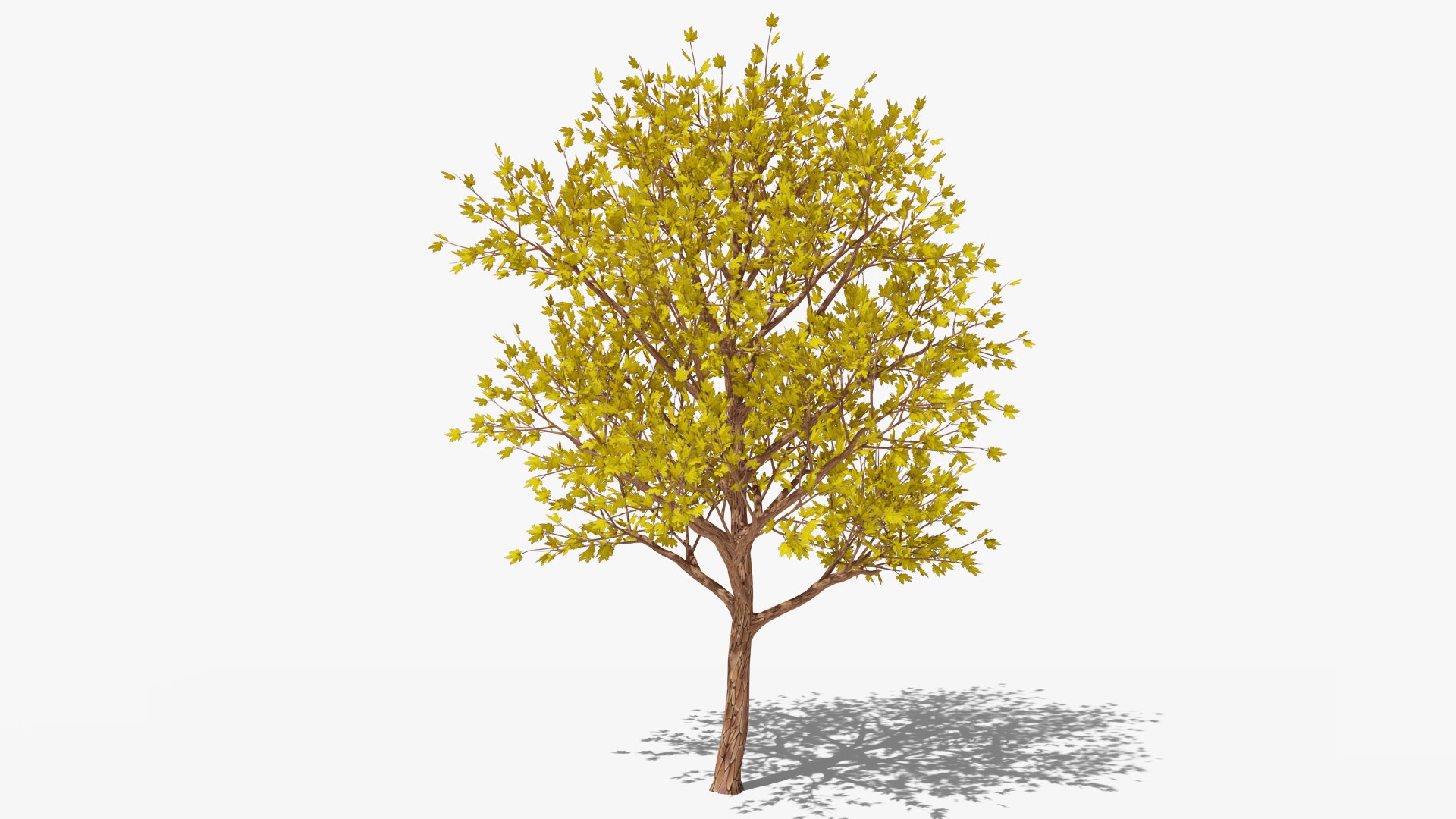 3D Stylized Cartoon Maple Tree with Yellow Leaves model - TurboSquid ...