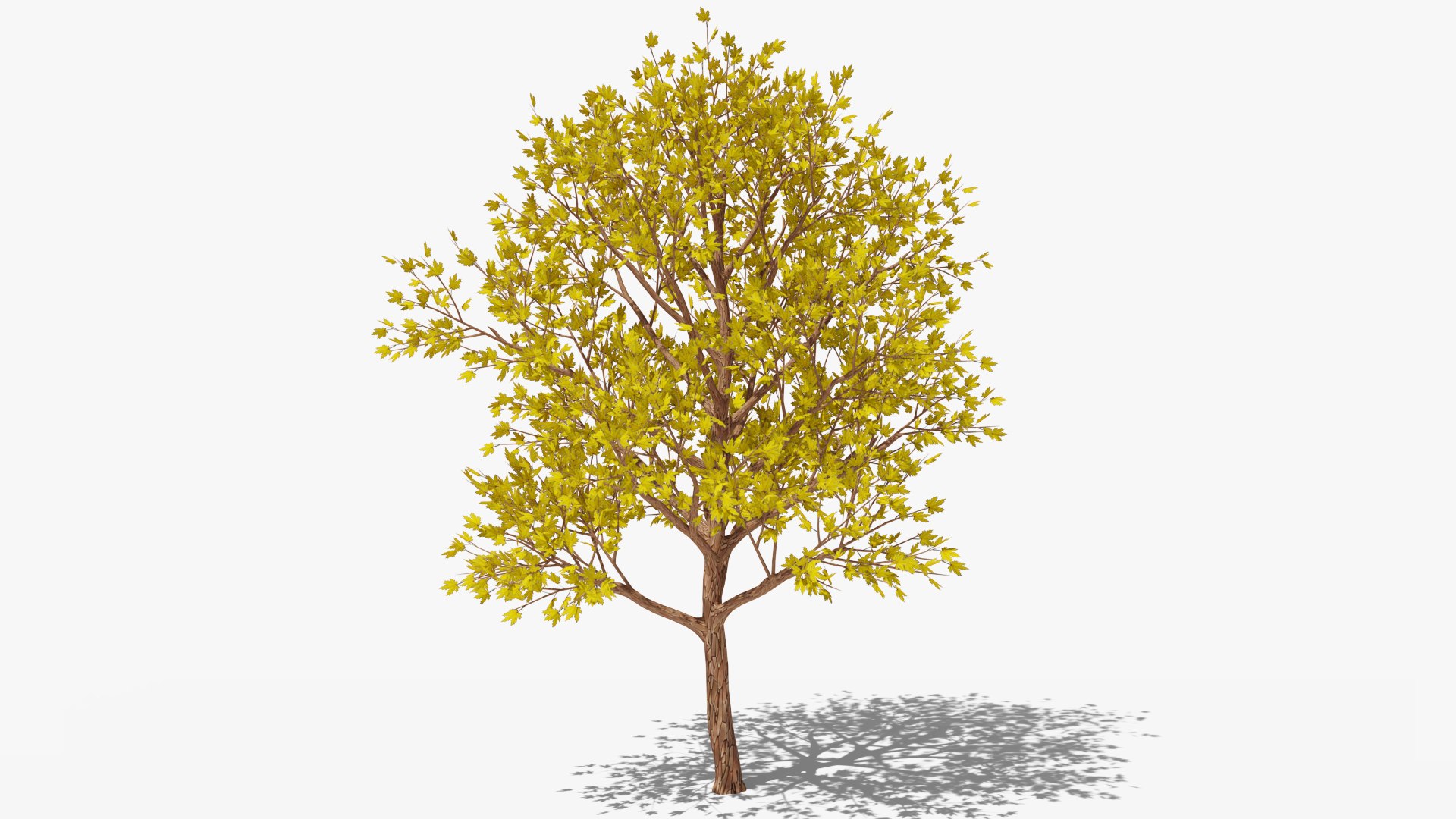 3D Stylized Cartoon Maple Tree with Yellow Leaves model - TurboSquid ...