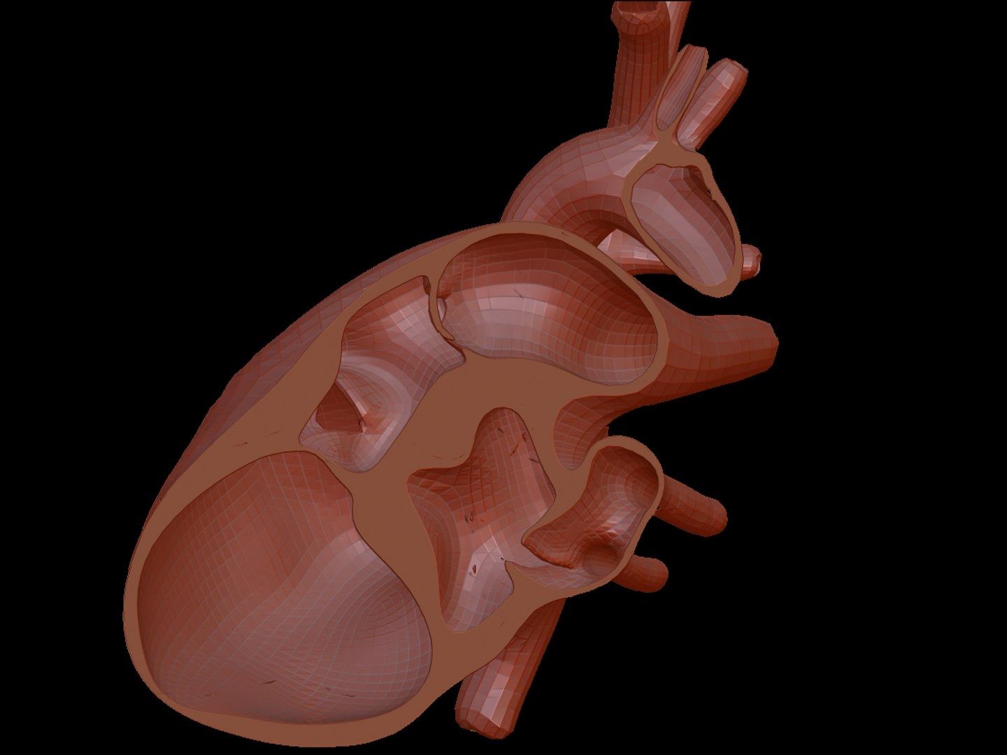 Human Heart Low Poly 3D Model - TurboSquid 2051383