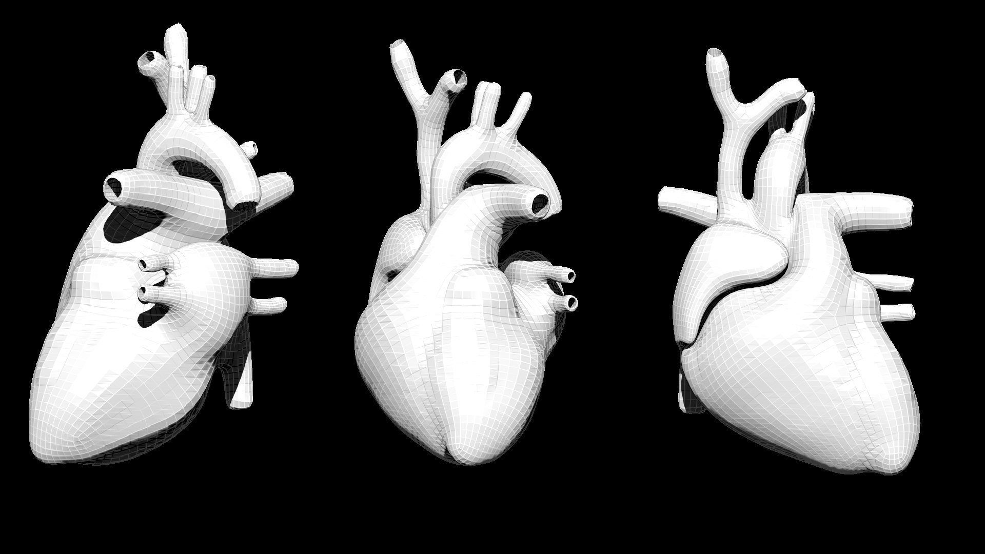 Human Heart Low Poly 3D Model - TurboSquid 2051383