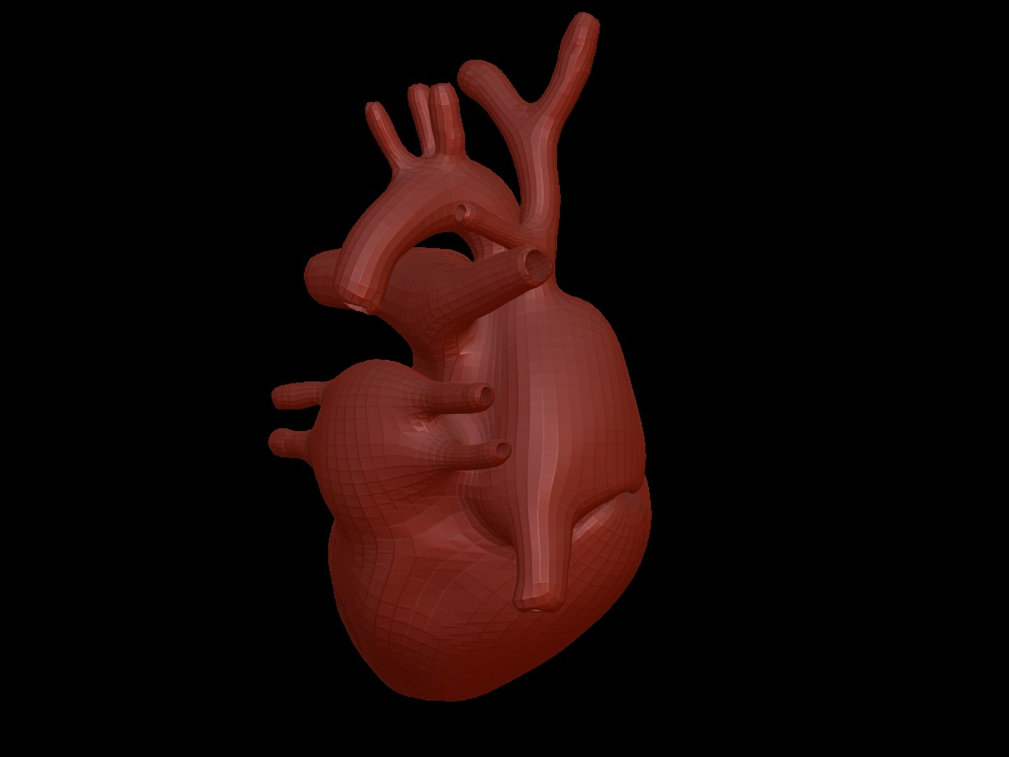 Human Heart Low Poly 3D Model - TurboSquid 2051383